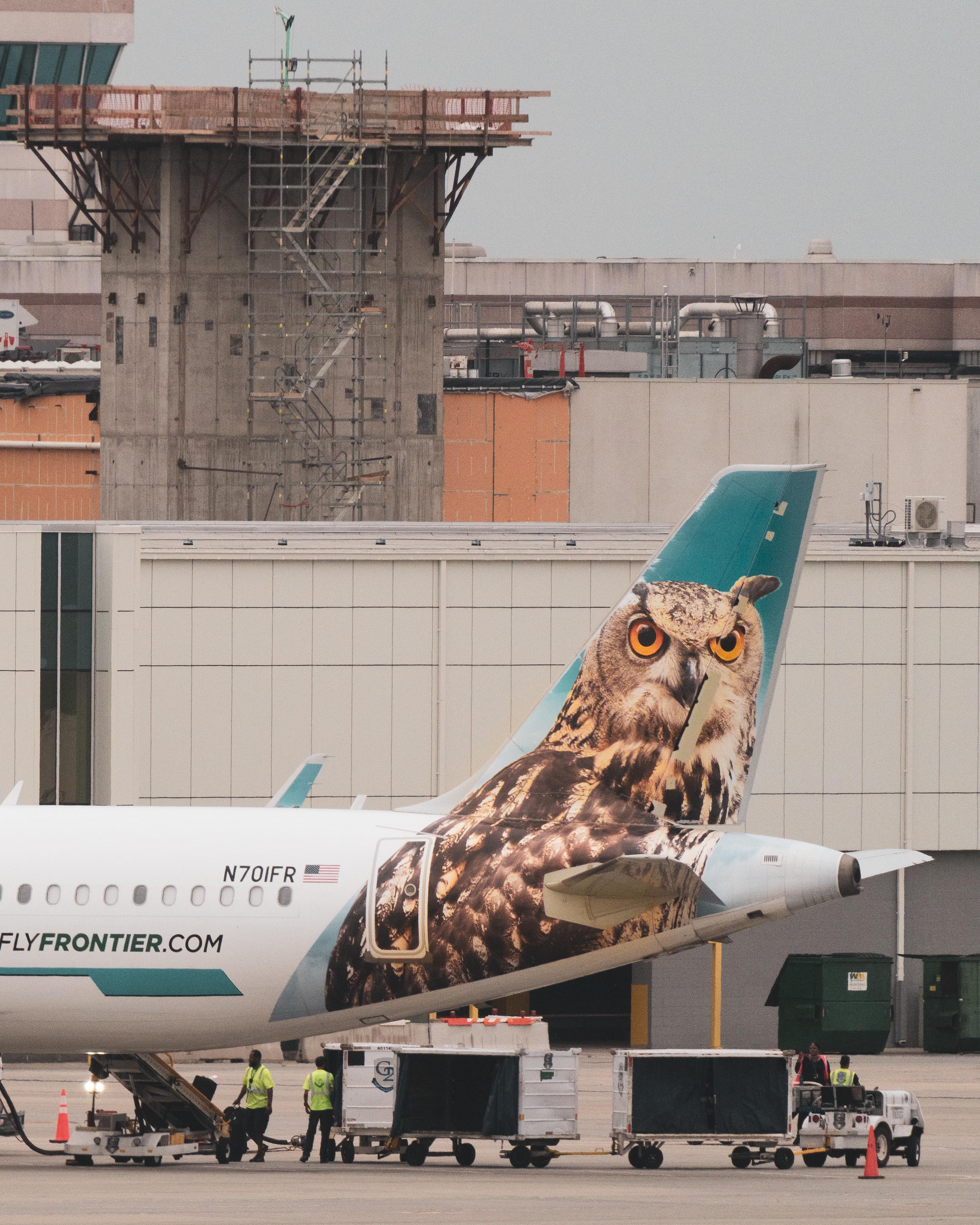 Gotta love these tail designs, ft. Otto the Owl 🦉 | Scrolller