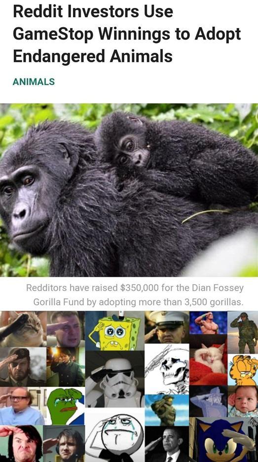 Gotta Love This | Scrolller