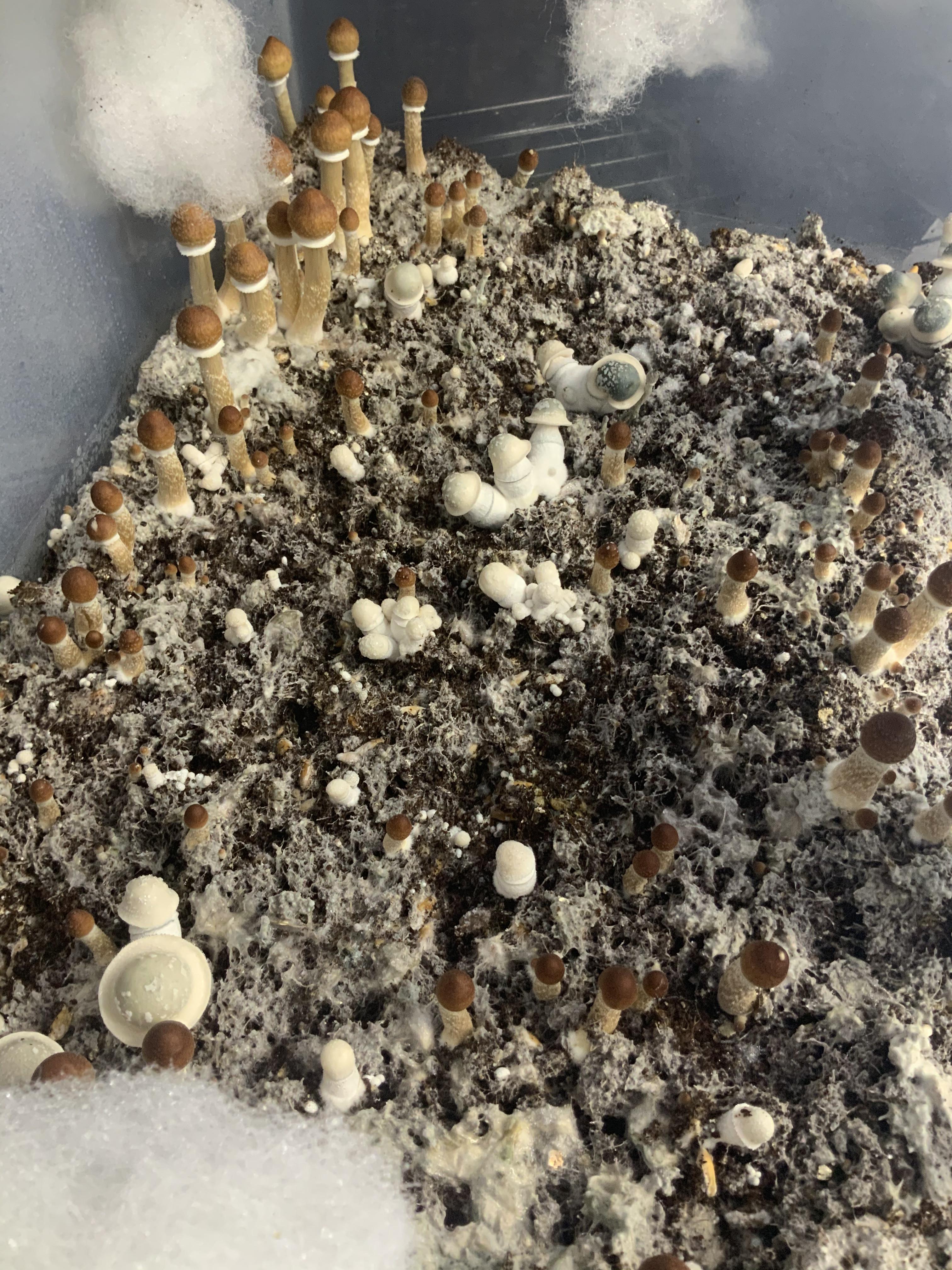 Gotta start labeling my jars | Scrolller