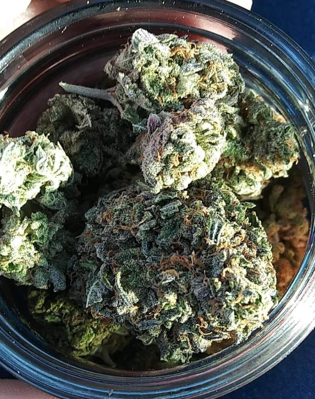 Grape Ape | Scrolller