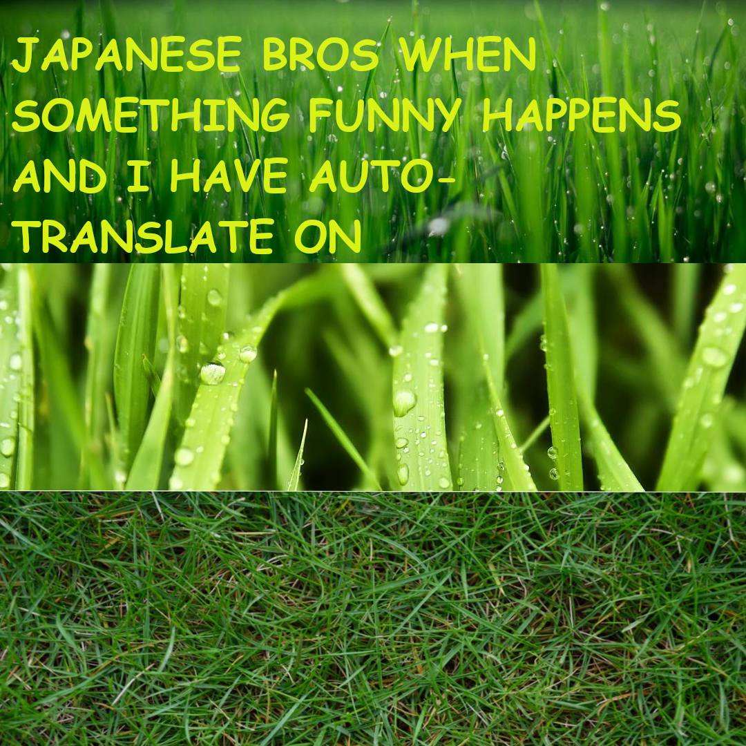 GRASS!!!! | Scrolller