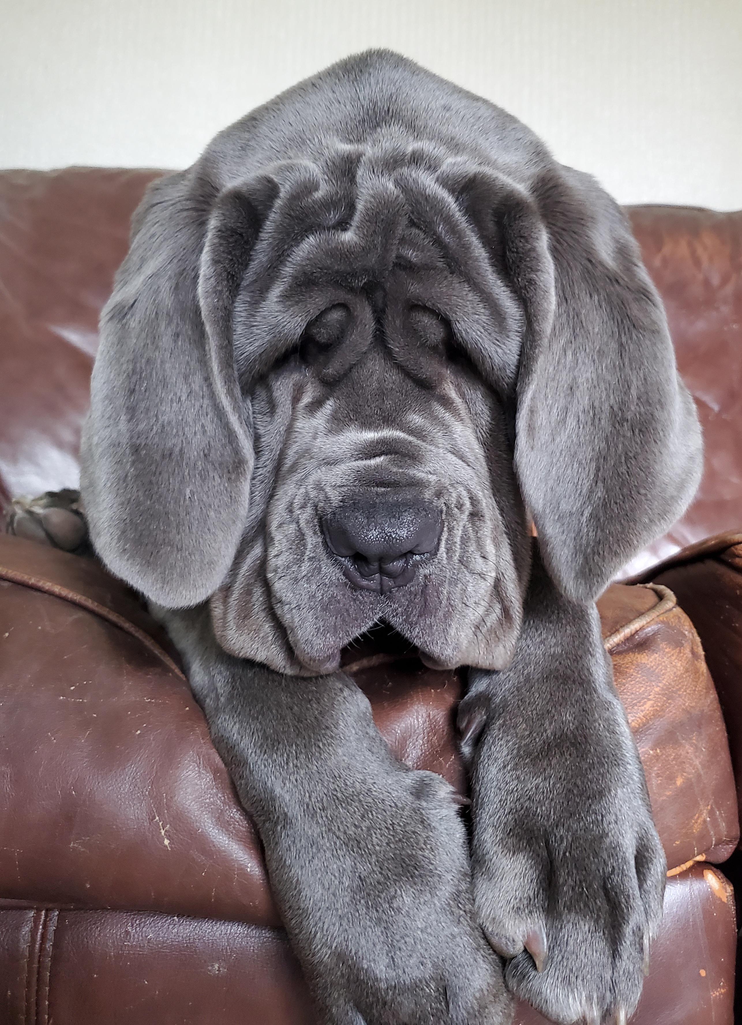 Gravity makes her face go squish | Scrolller