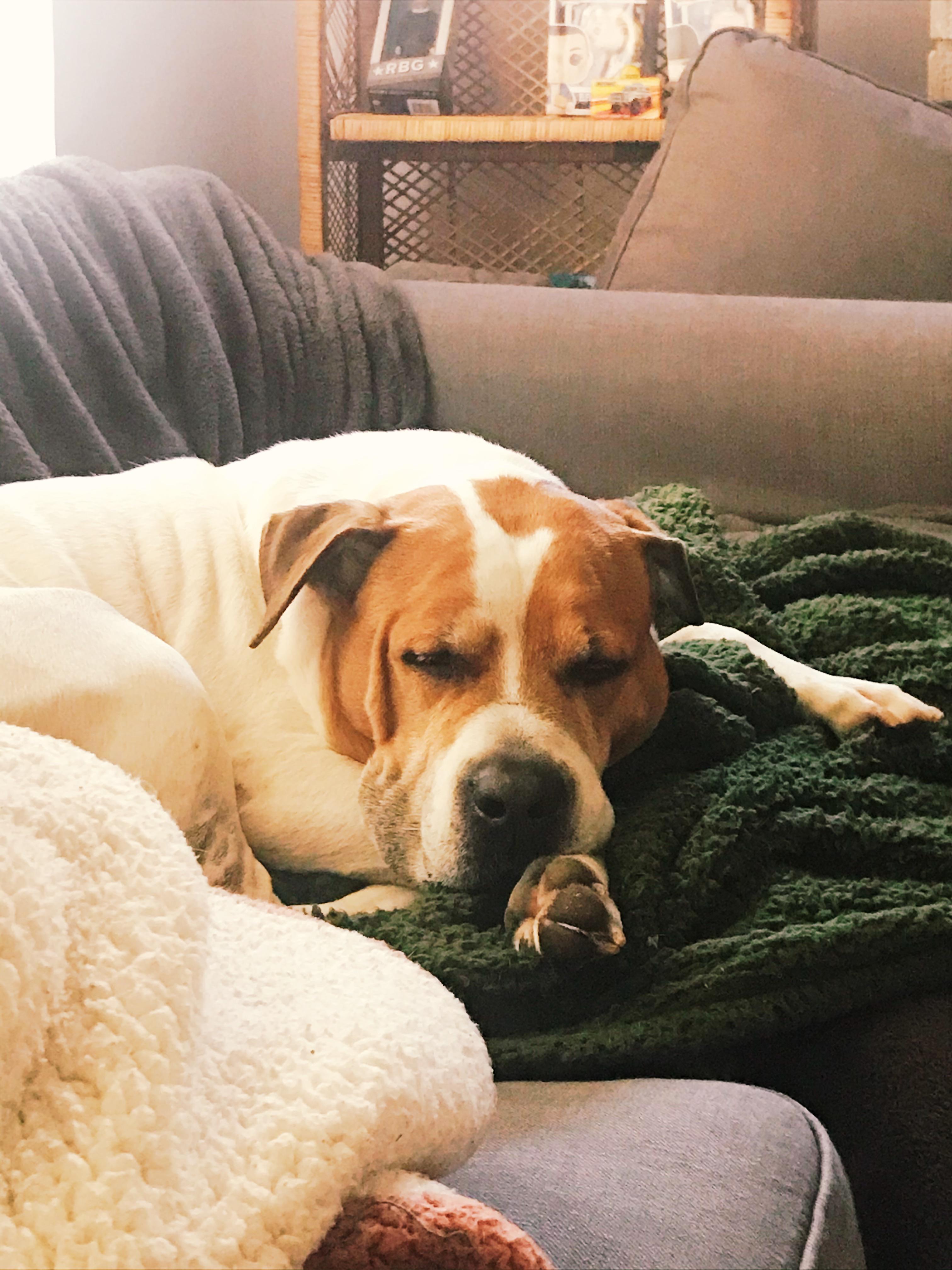 Gravity + midday naps = SQUISHY ARGO | Scrolller