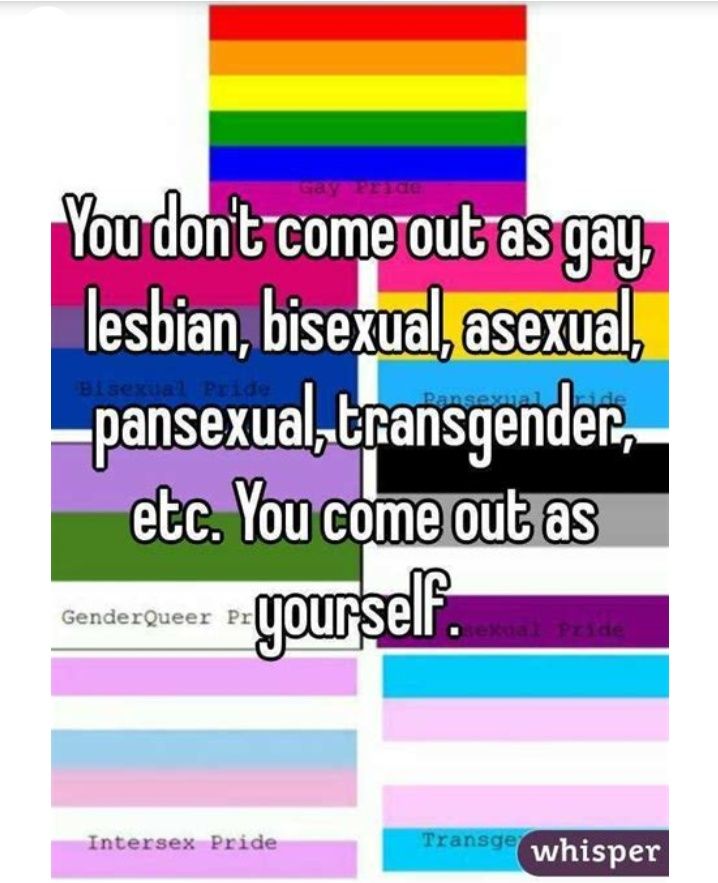 Great answer to a good question | Scrolller