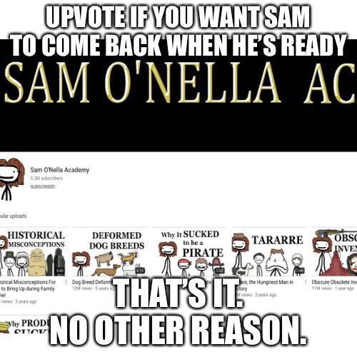 Great content creator rule | Scrolller