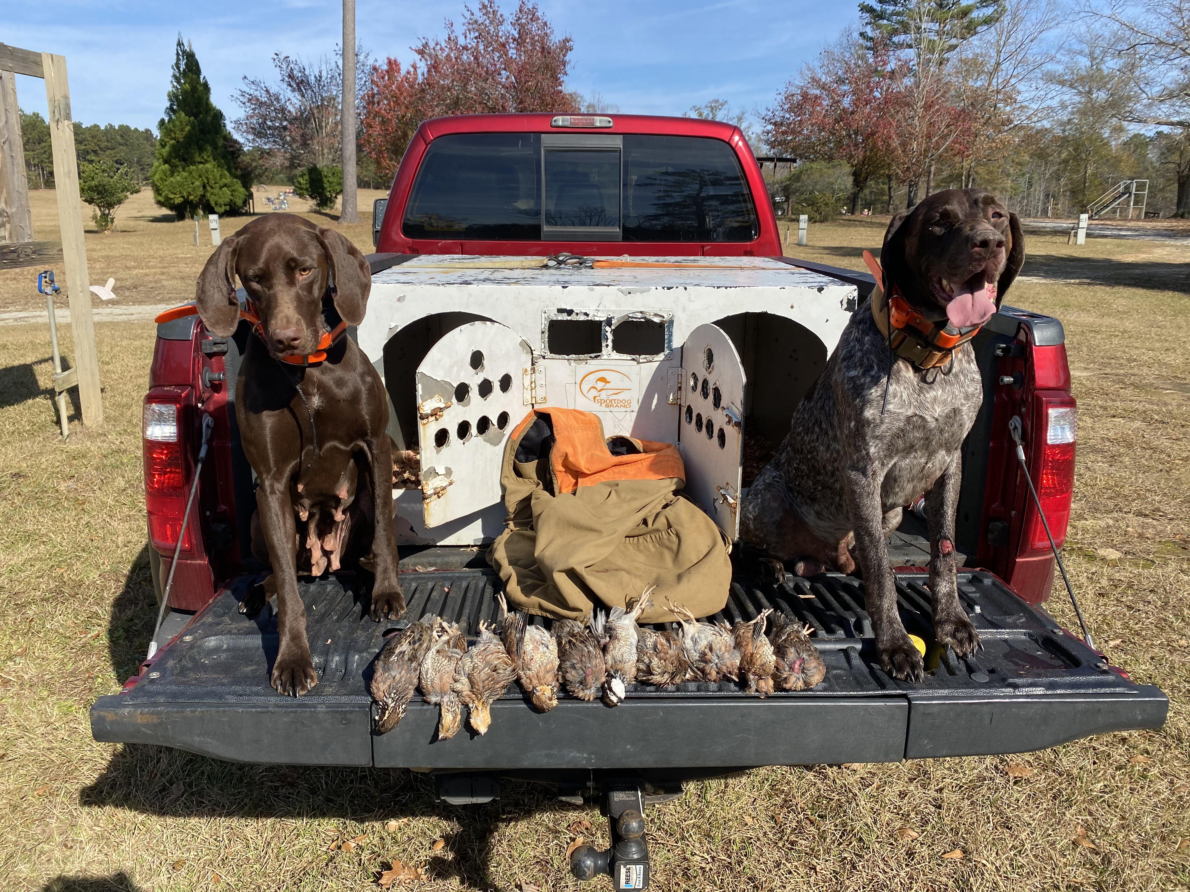 Great day afield | Scrolller