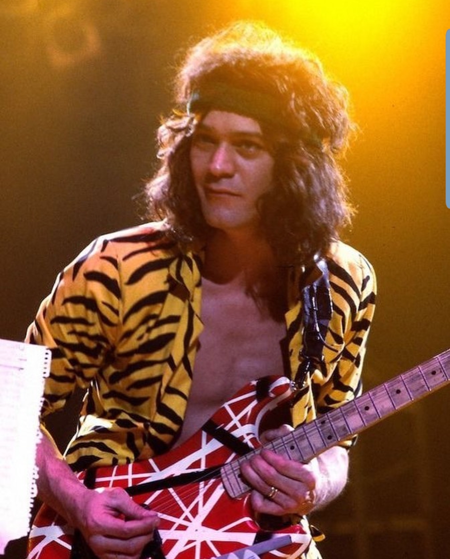 Great image of eddie | Scrolller