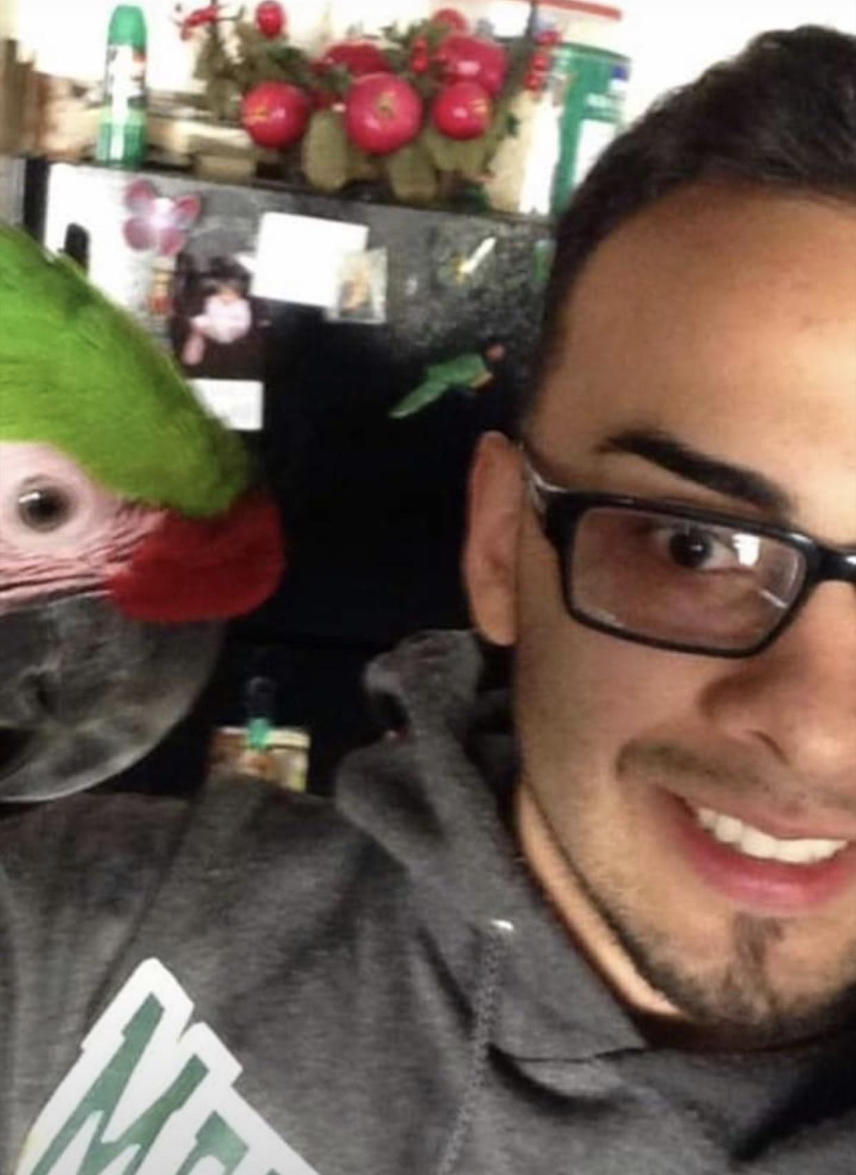 Green Macaw and Me | Scrolller