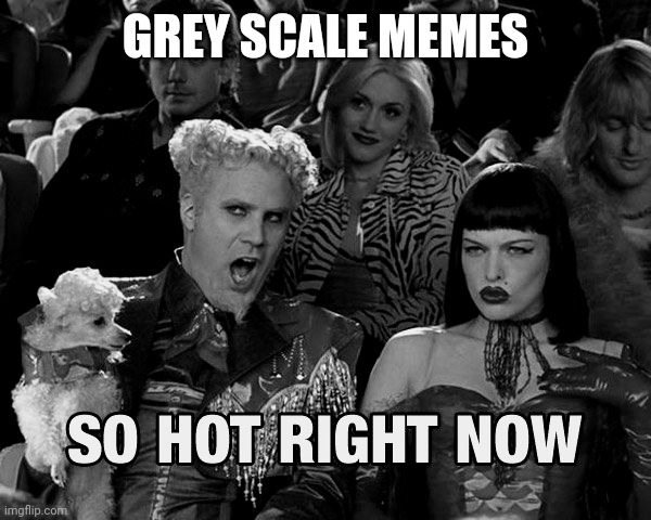 Grey Scale Memes So 🔥 RN | Scrolller