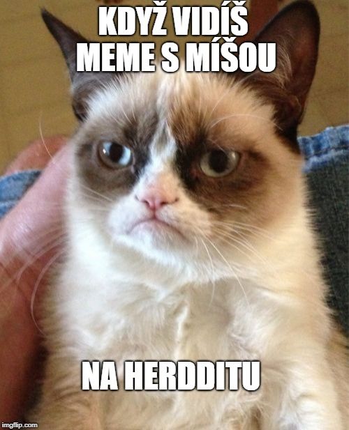 GRUMPY CAT MEME | Scrolller