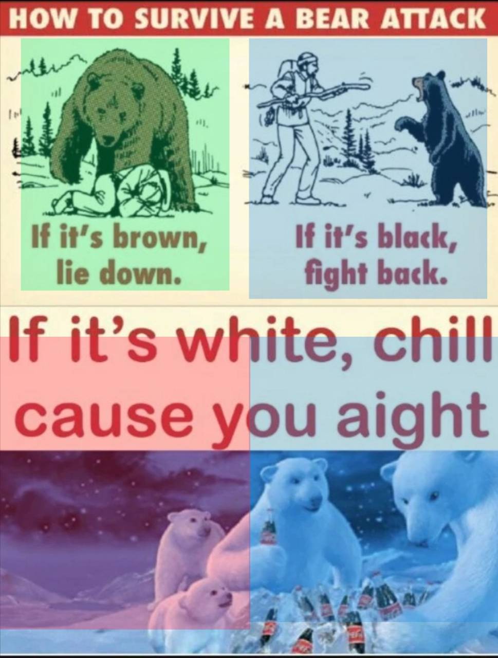 Guide to : surviving in society as an r/PCM member | Scrolller