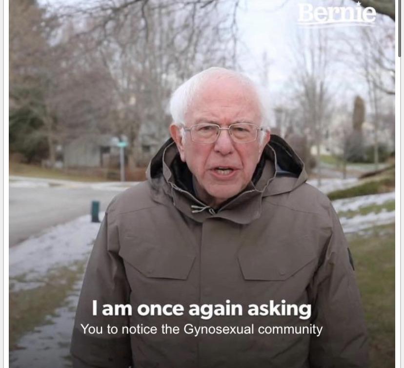 Gyno Bernie :) | Scrolller