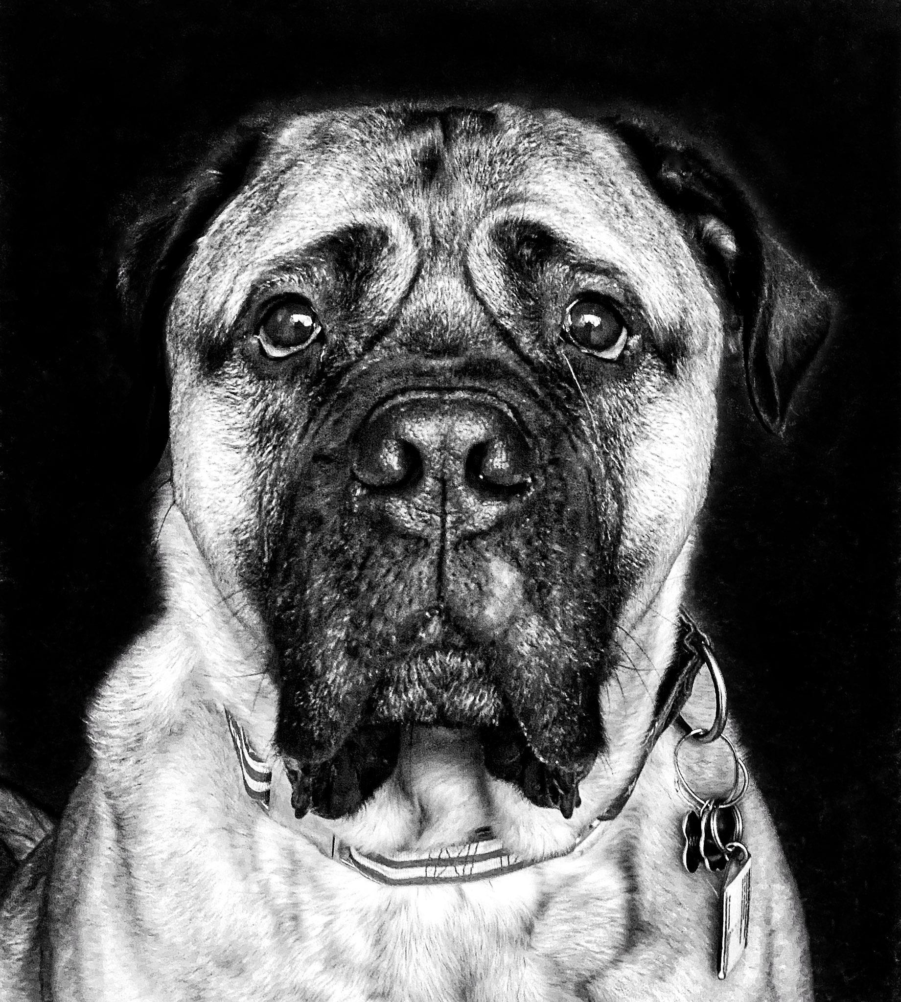 Had this picture of Macgyver taken for my wife's Christmas present | Scrolller