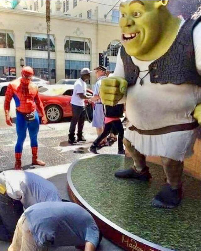 HAIL SHREK | Scrolller