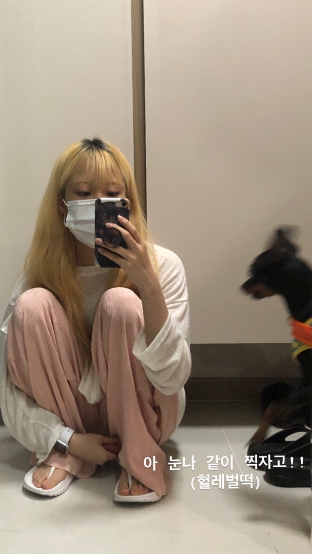 Han Hyeri | Scrolller