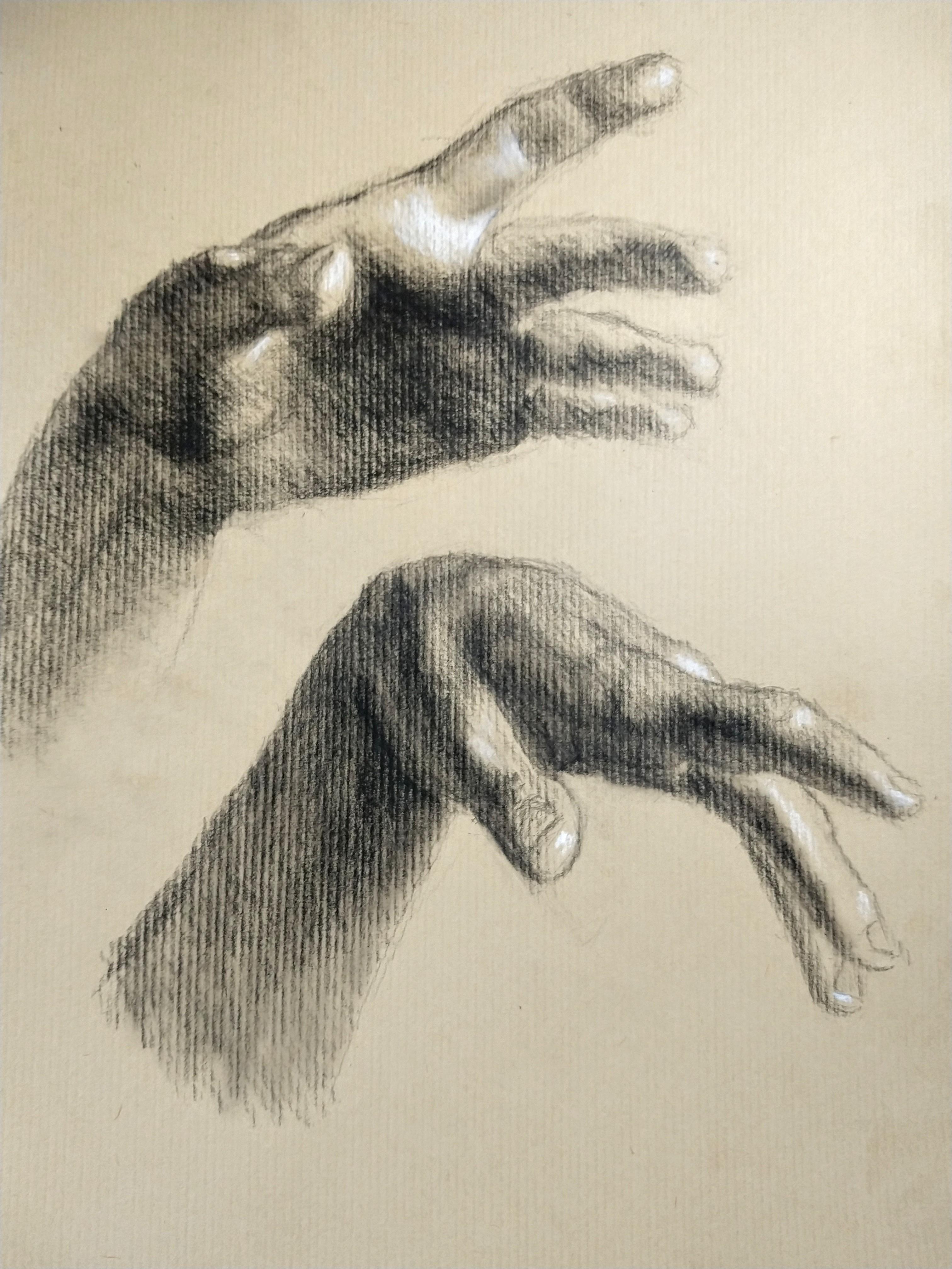 Hand studies | Scrolller
