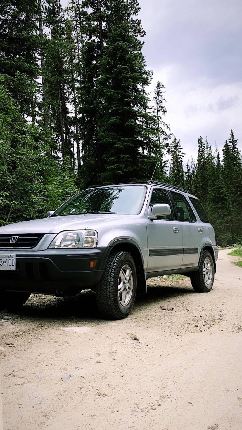 Handles the backroads like a champ. | Scrolller