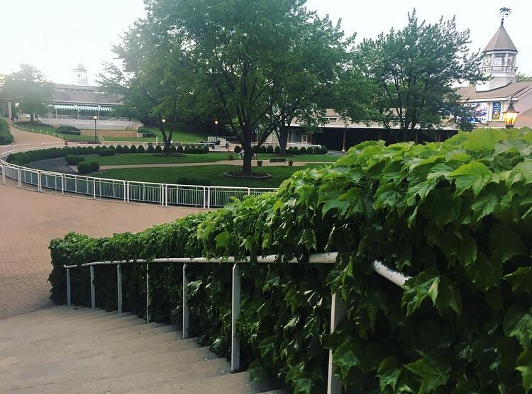 Handrail | Scrolller