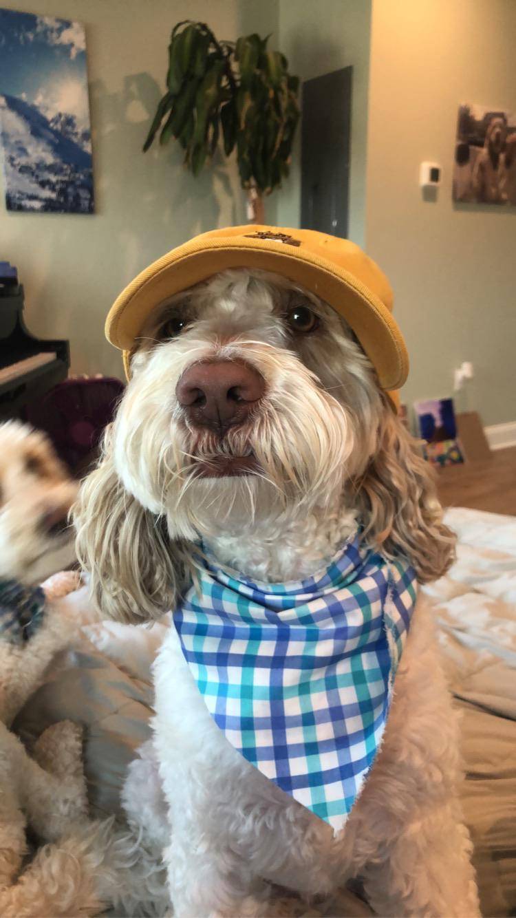 Handsome man with the lip | Scrolller