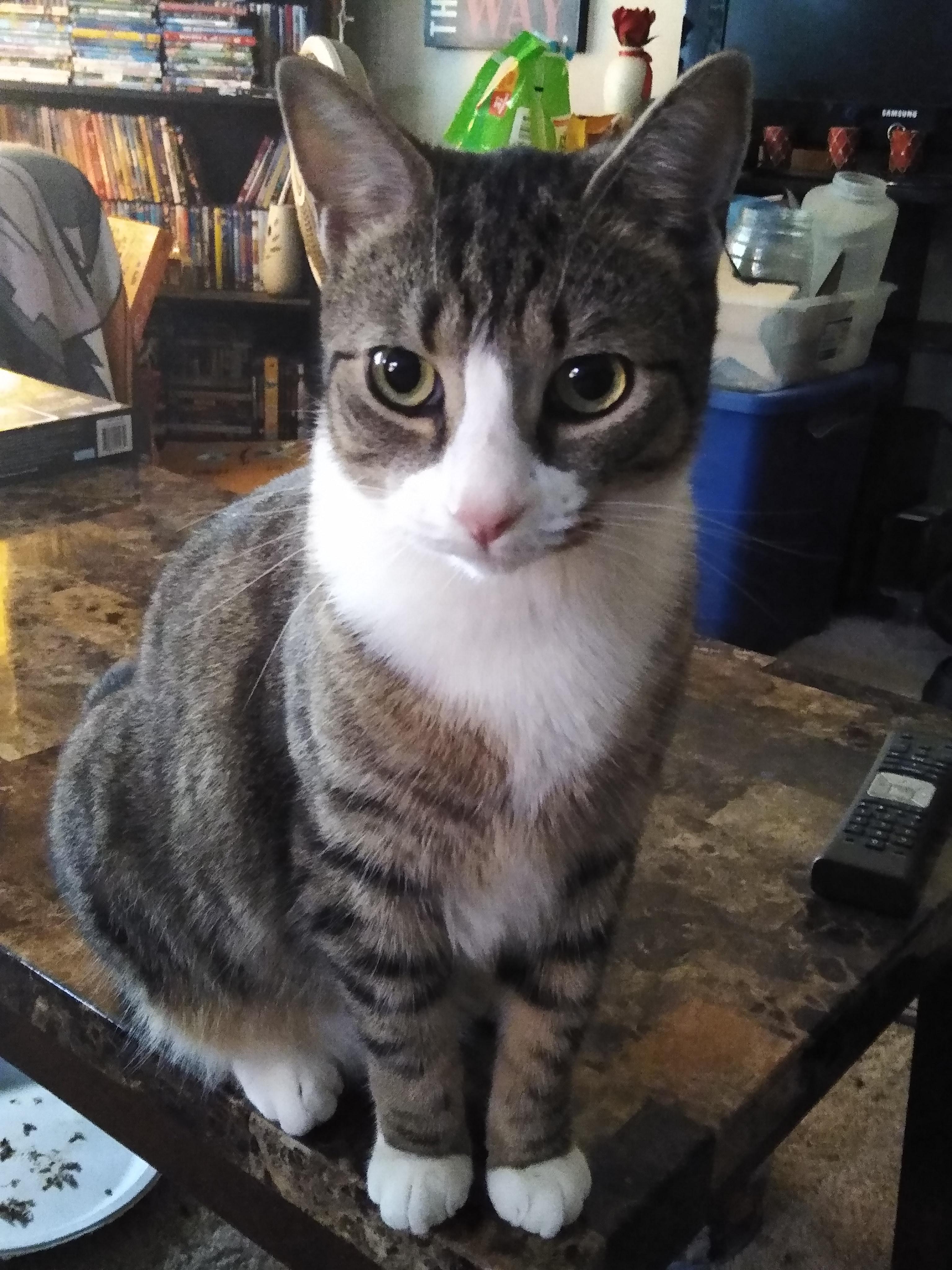 Handsome Max posing for the pic | Scrolller