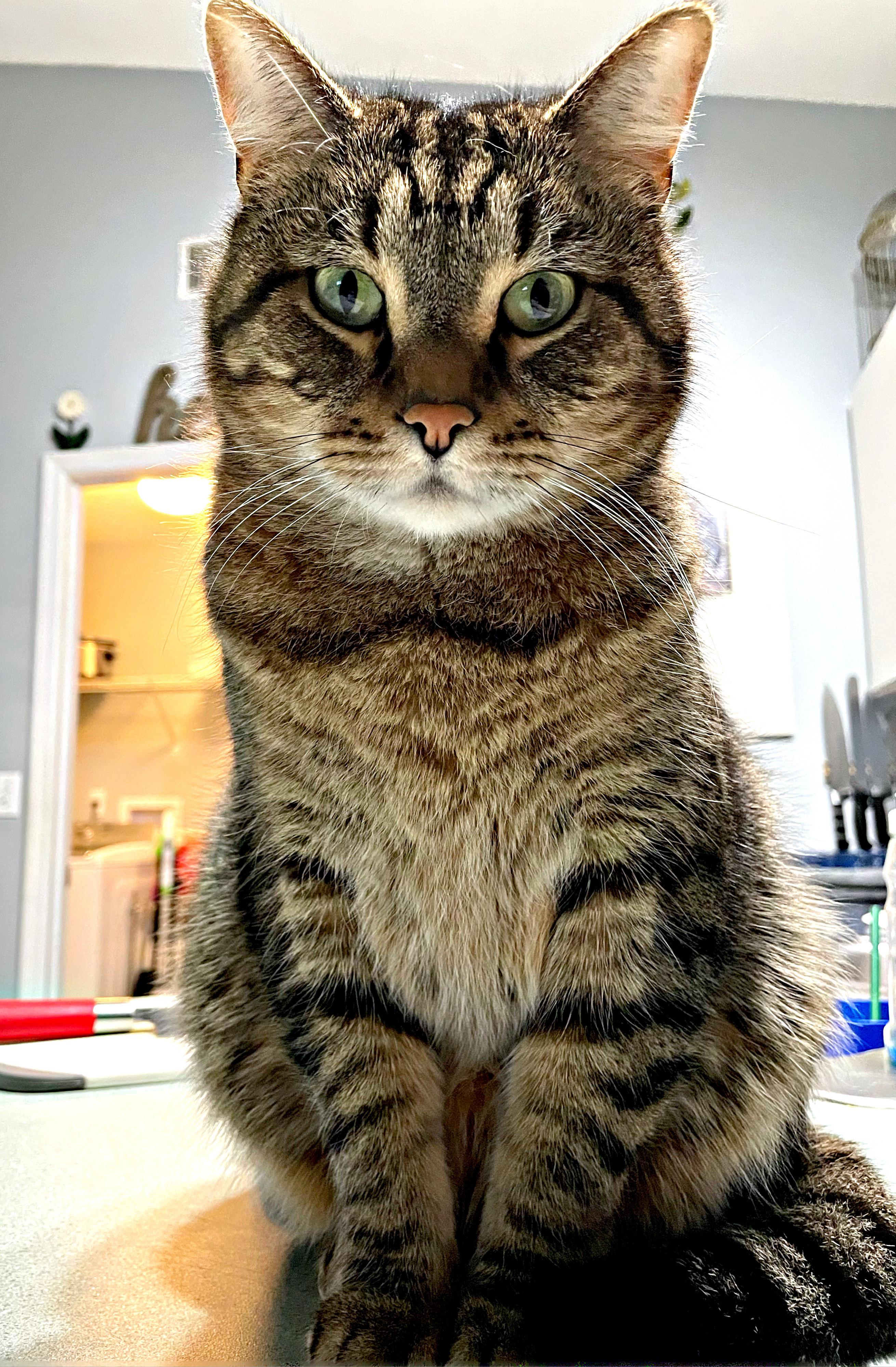 Handsome old man | Scrolller