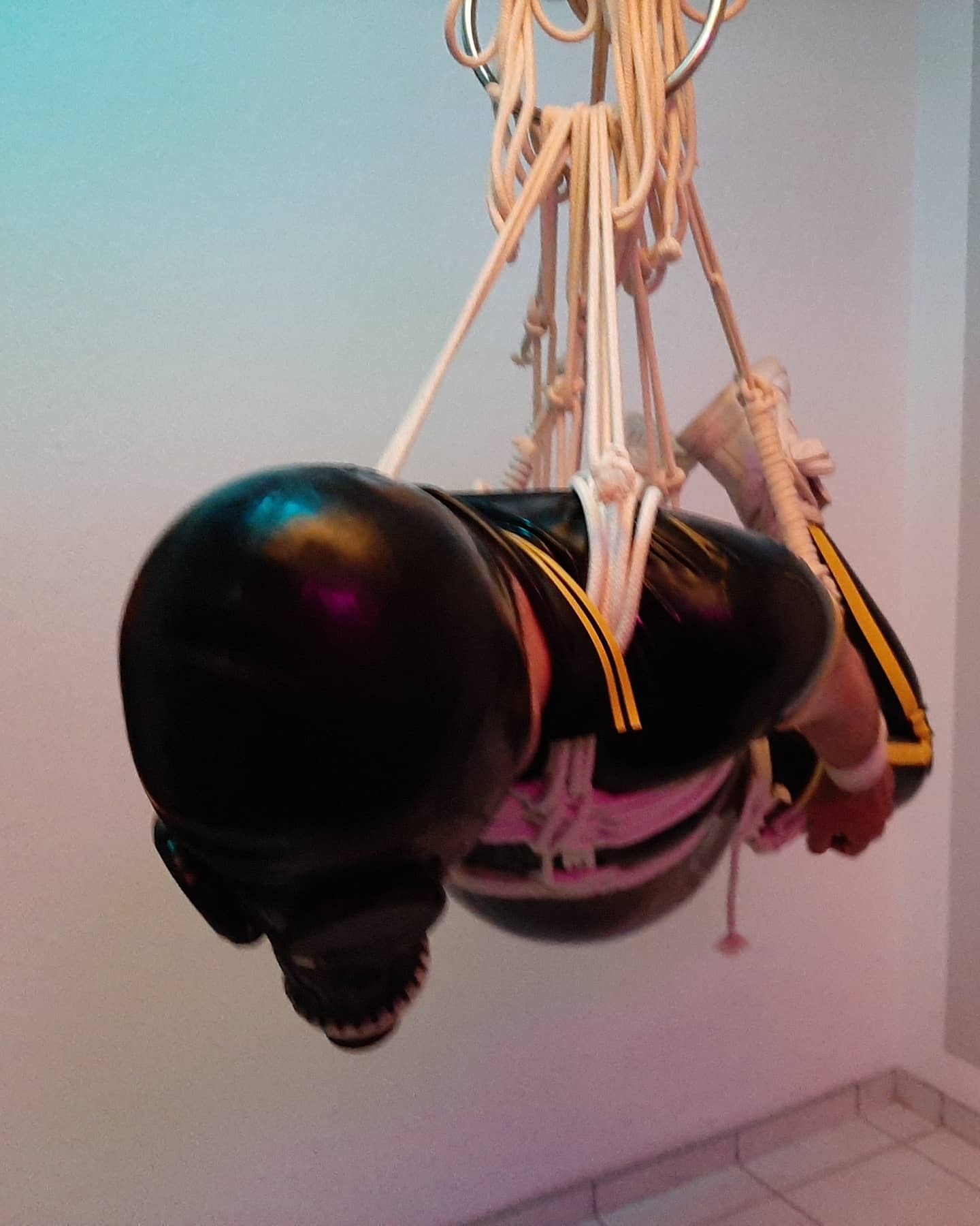 Hanging around | Scrolller