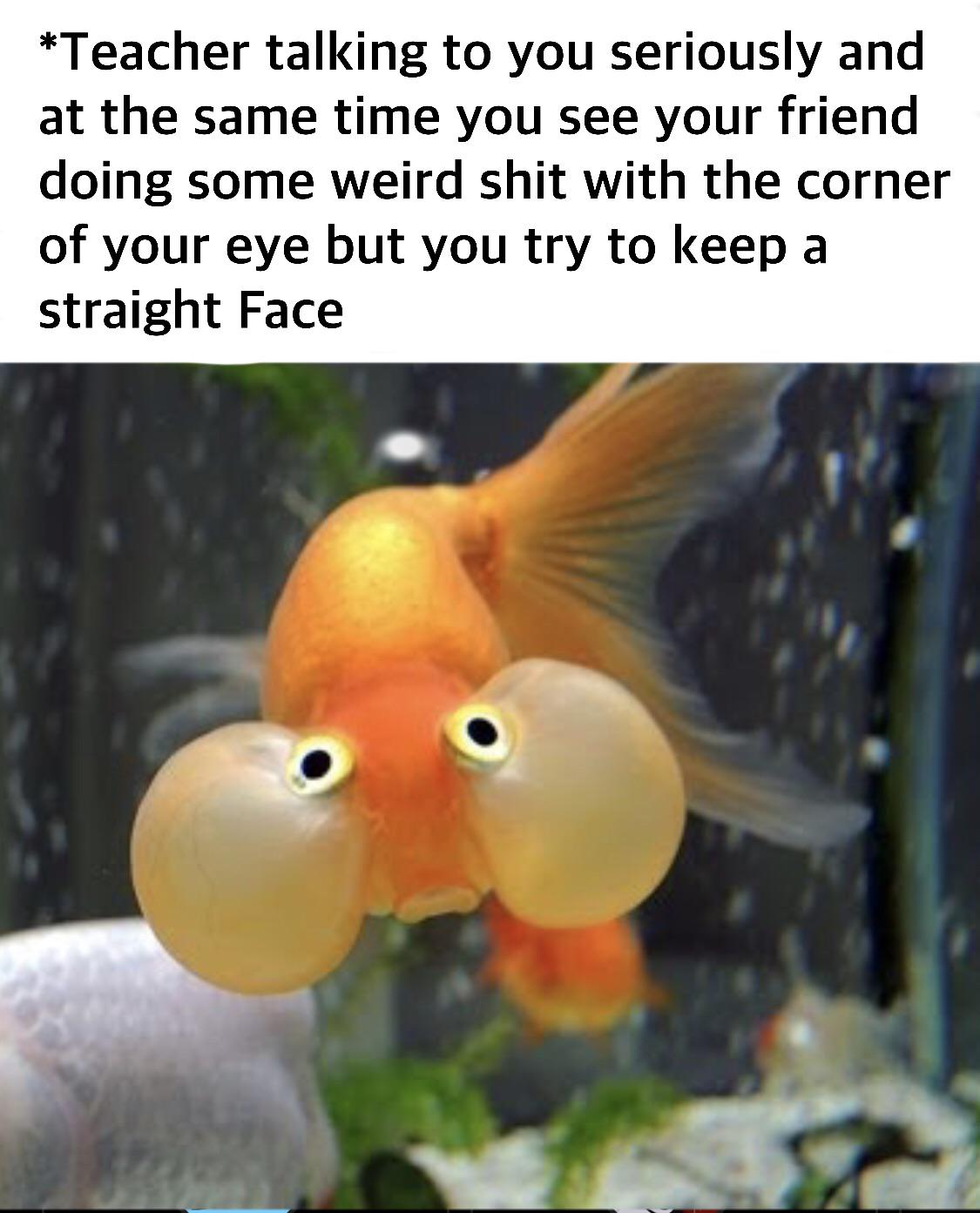 Happens literally every time | Scrolller