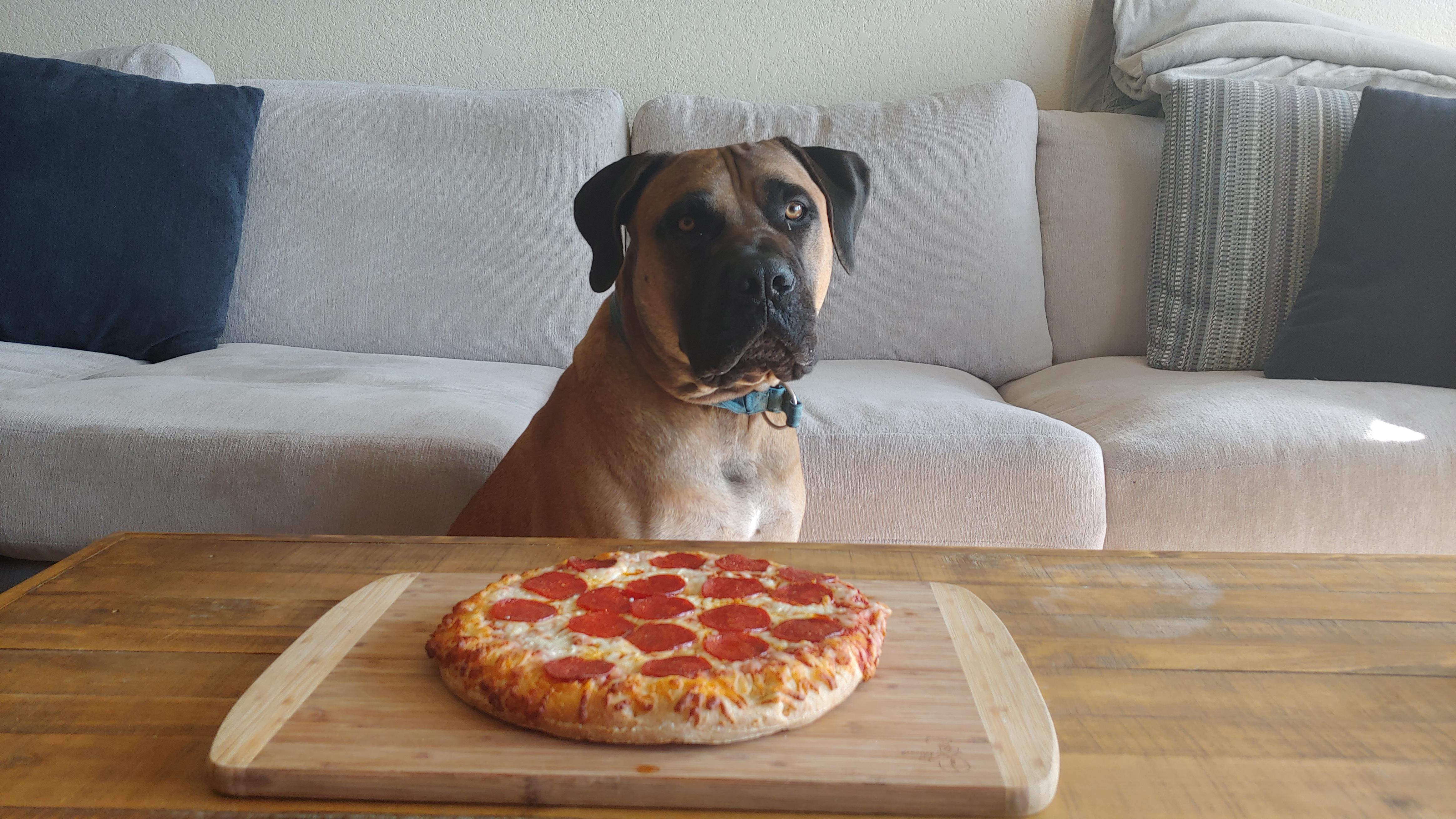 Happy 4th big guy! | Scrolller