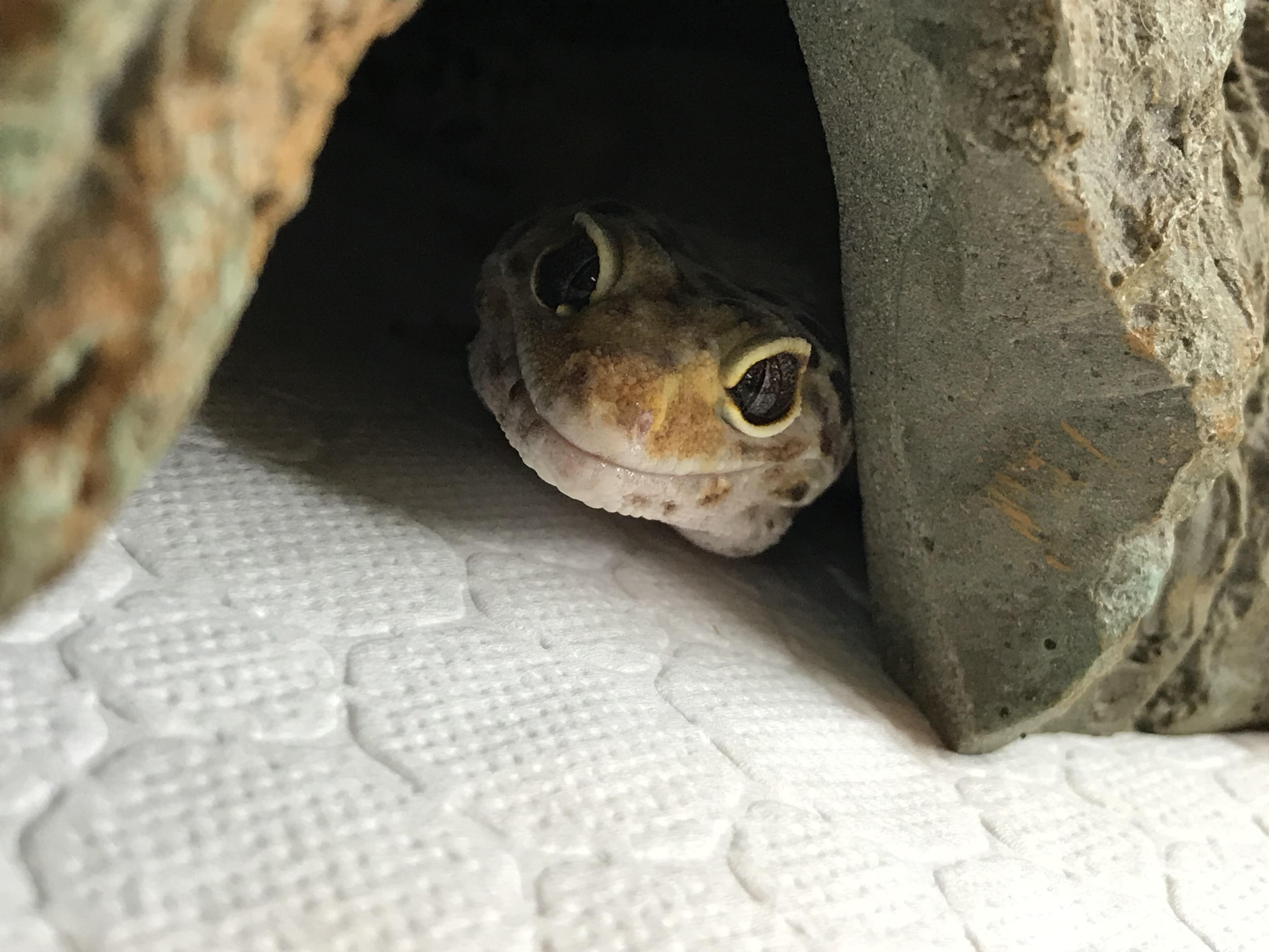 Happy boy | Scrolller