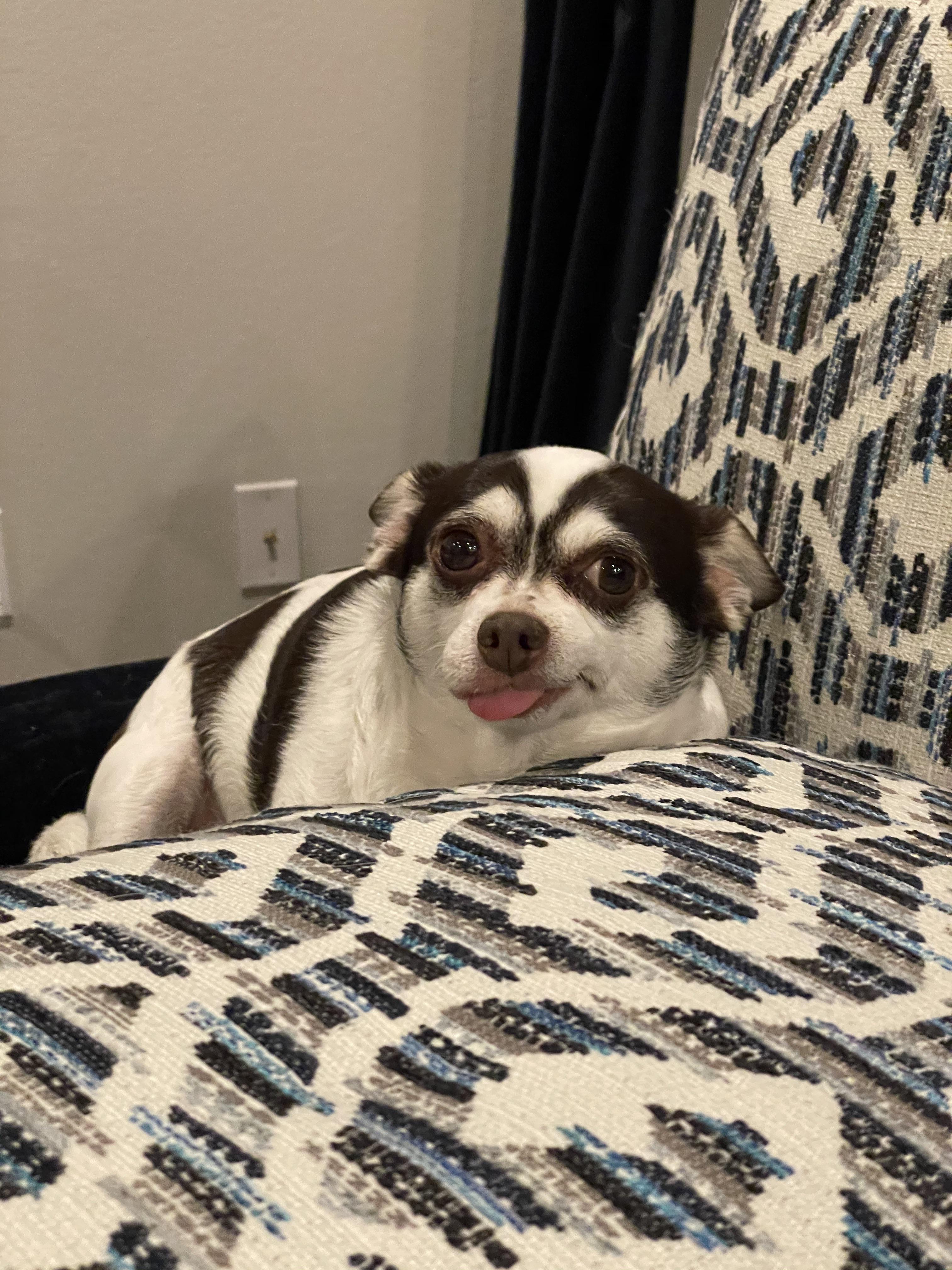 Happy hump day guys | Scrolller