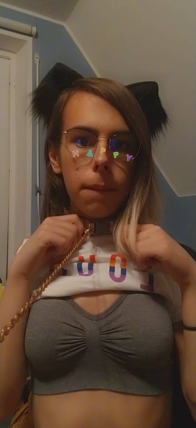 Happy Kitty | Scrolller