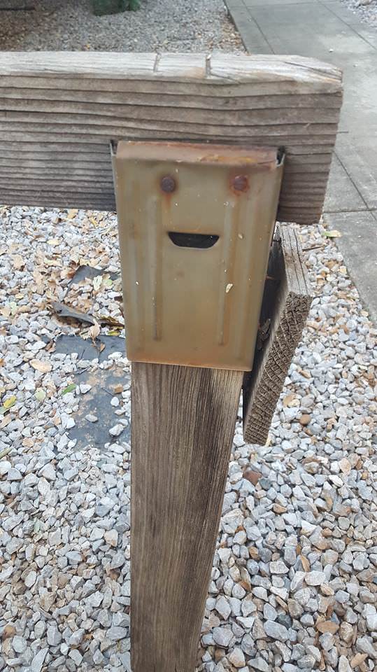 Happy little sawhorse | Scrolller