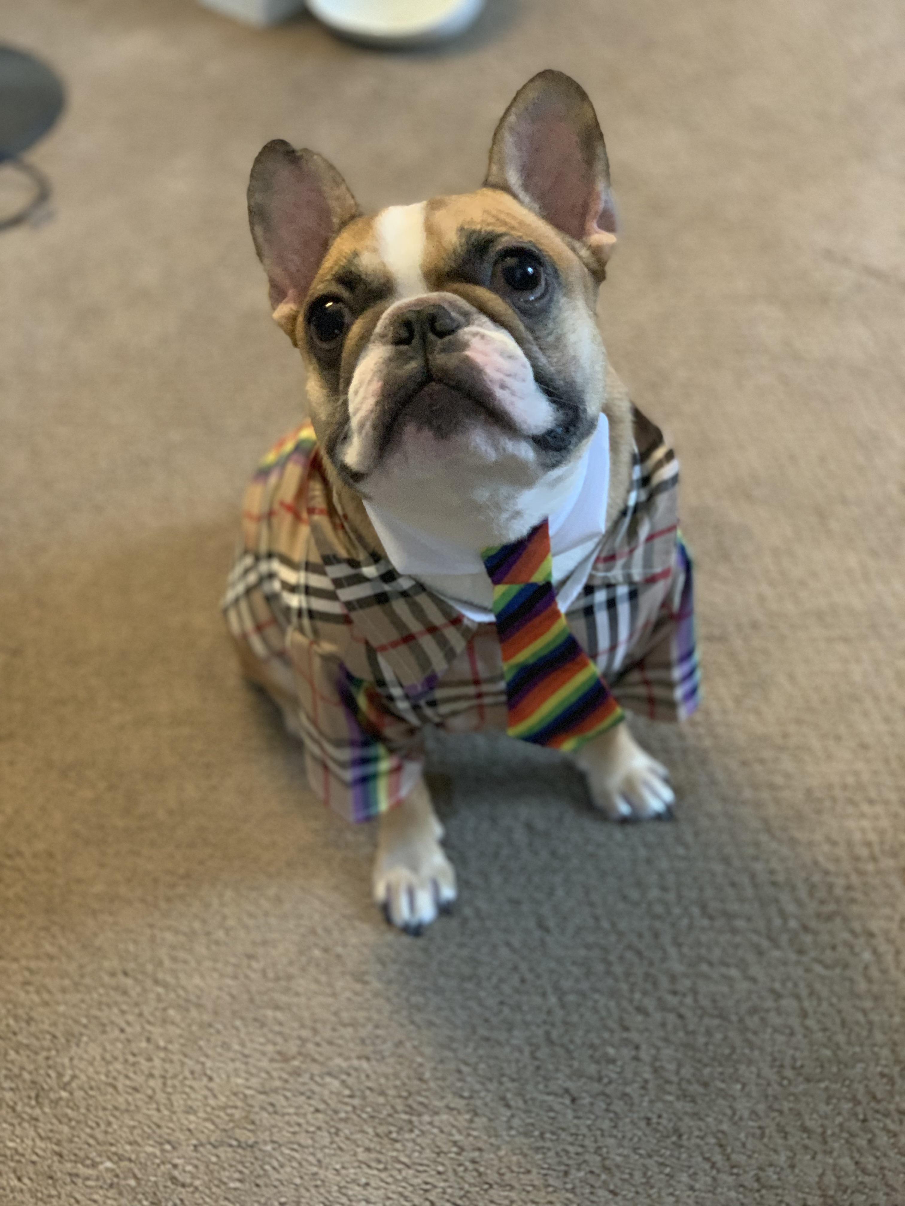 Happy Pride from my happy boy! | Scrolller