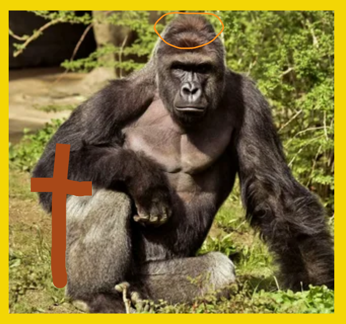 Harambe warns you to stop being unholy | Scrolller