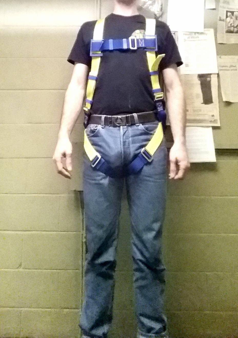 Harnessed for work, doesn't leave much to the imagination. | Scrolller