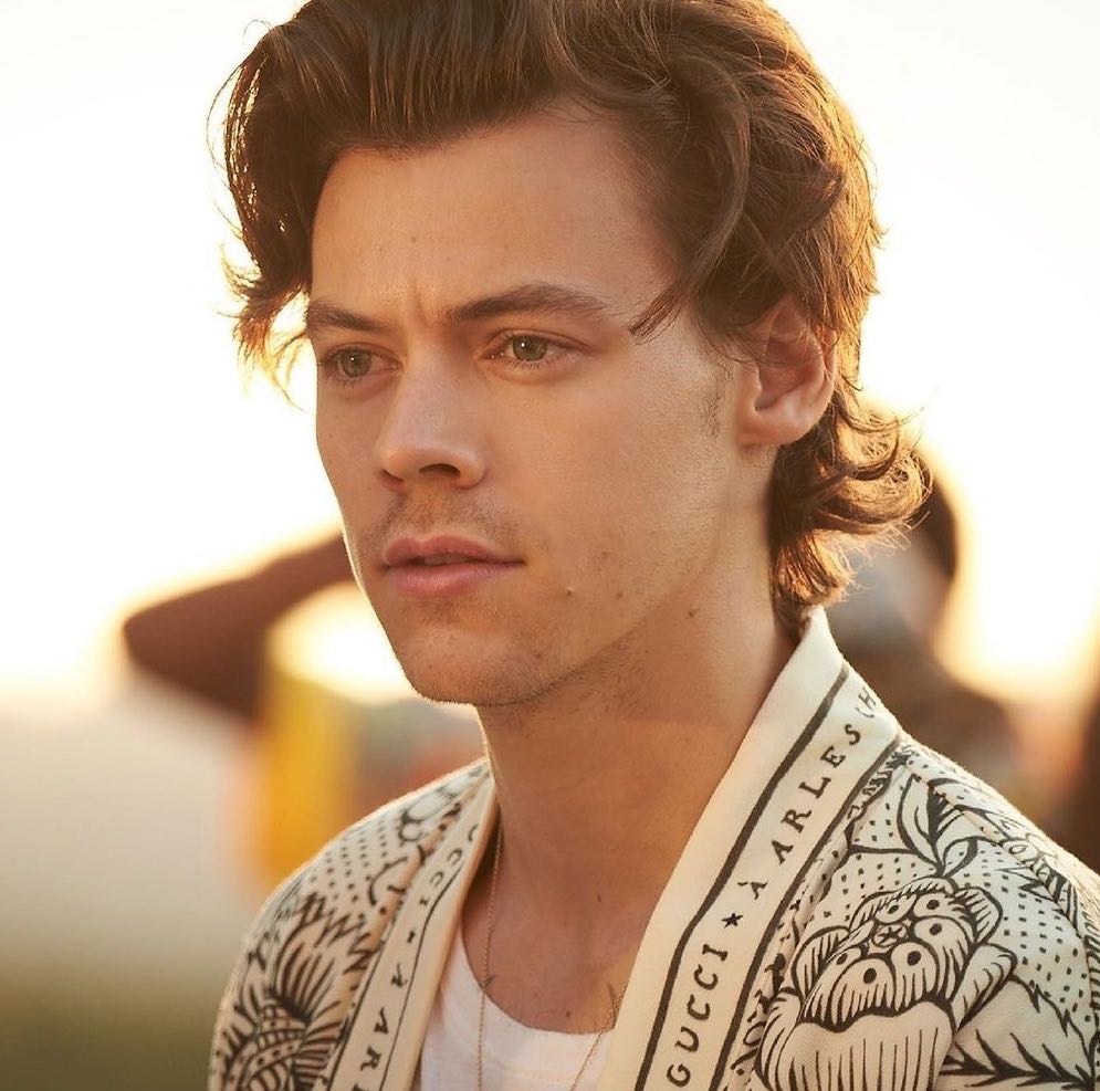 Harry Styles | Scrolller