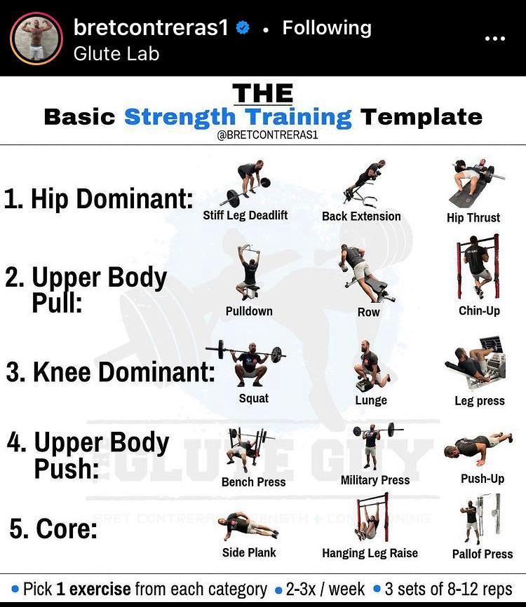 Has anyone done Brets basic strength training template? | Scrolller