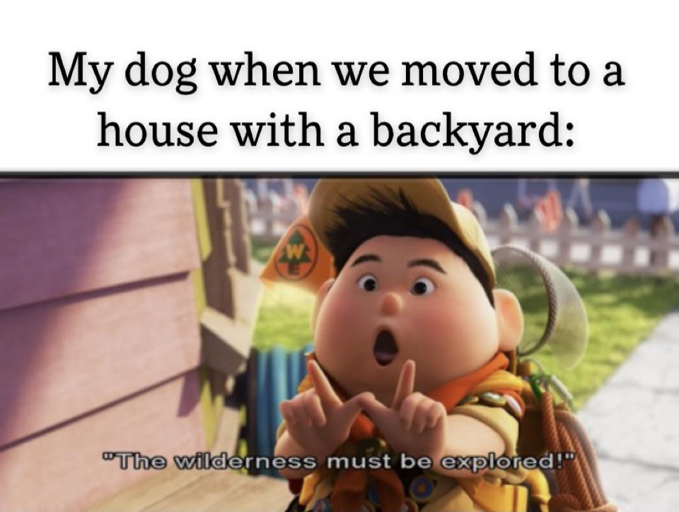 Have fun little guy | Scrolller