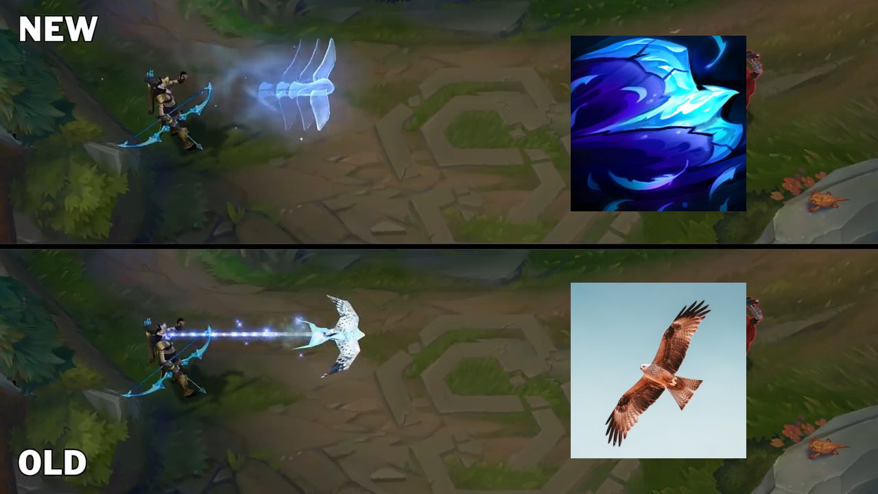 Hawkshot Update Comparison With References | Scrolller