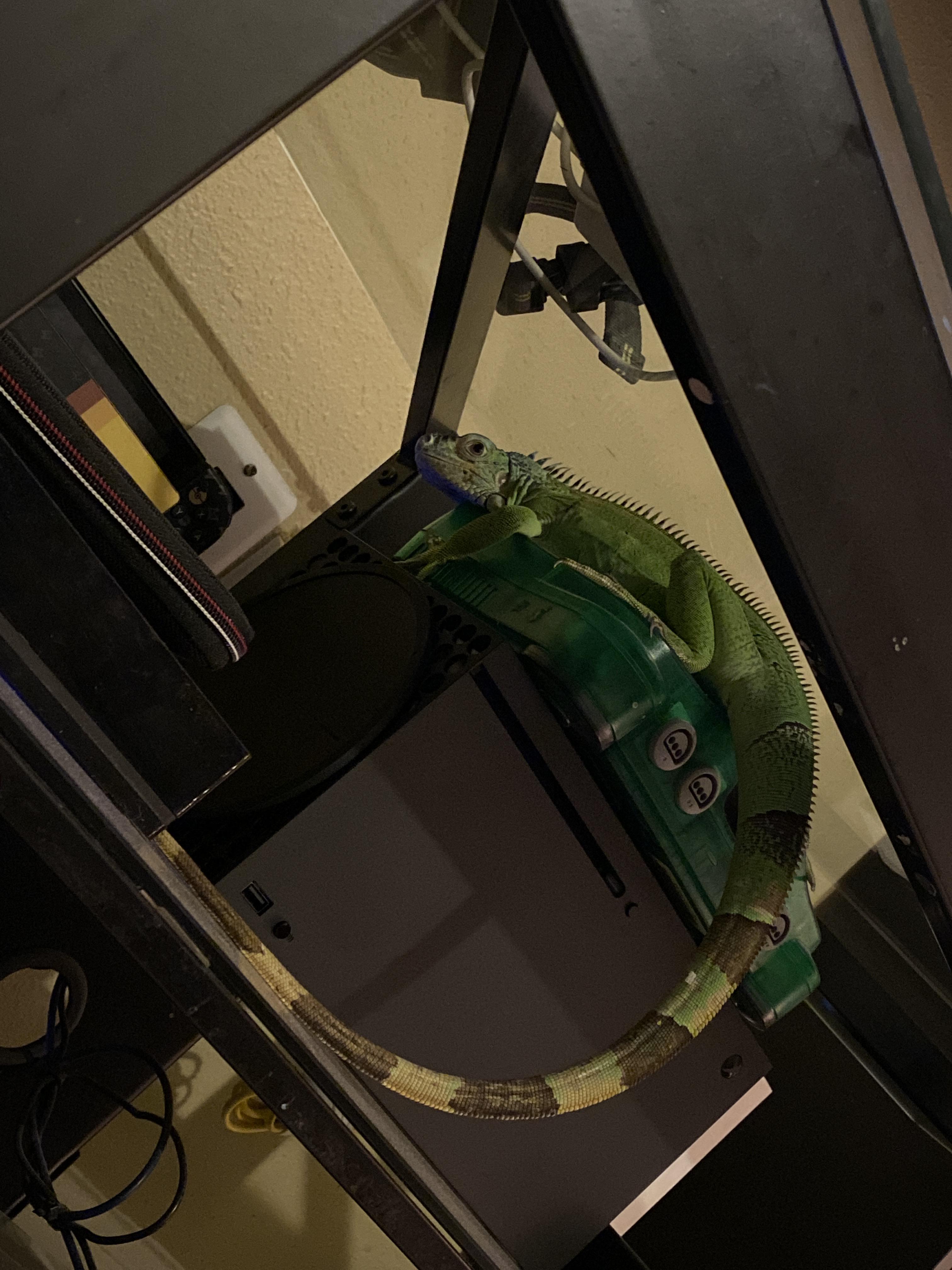 He dicided this is his chill spot | Scrolller