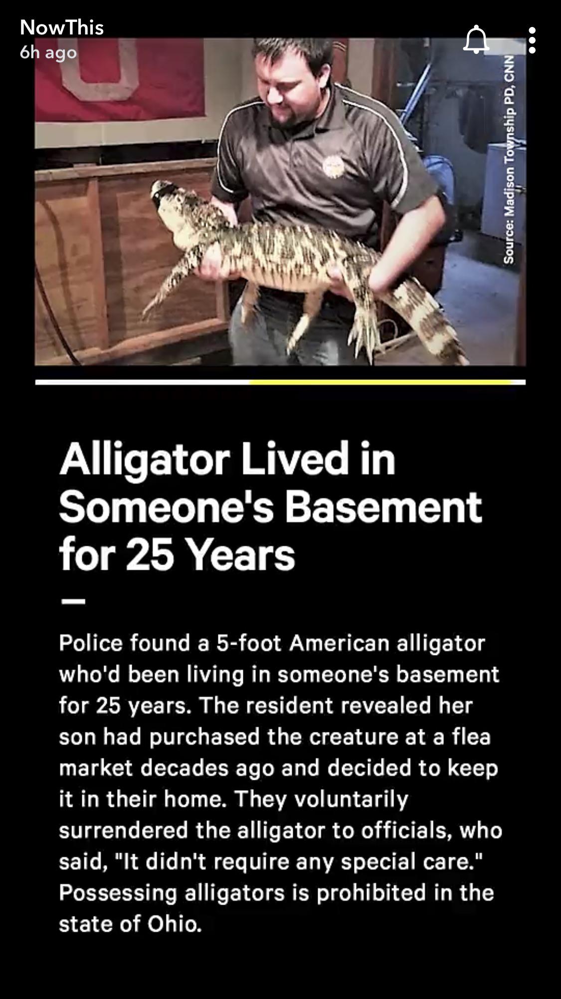 He do got an alligator, that's the alligator man! | Scrolller