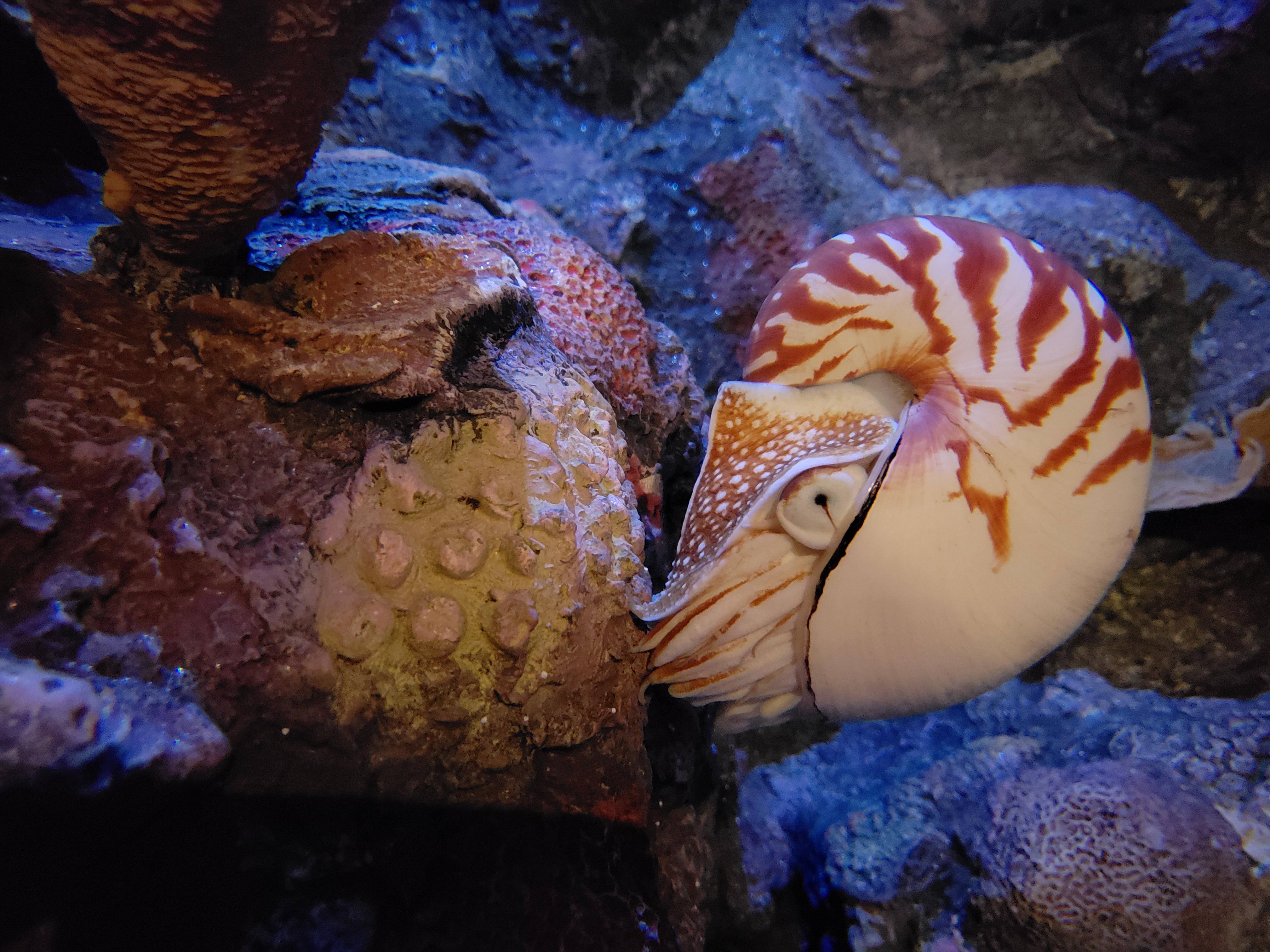 He is a bashful gentlemen. | Scrolller