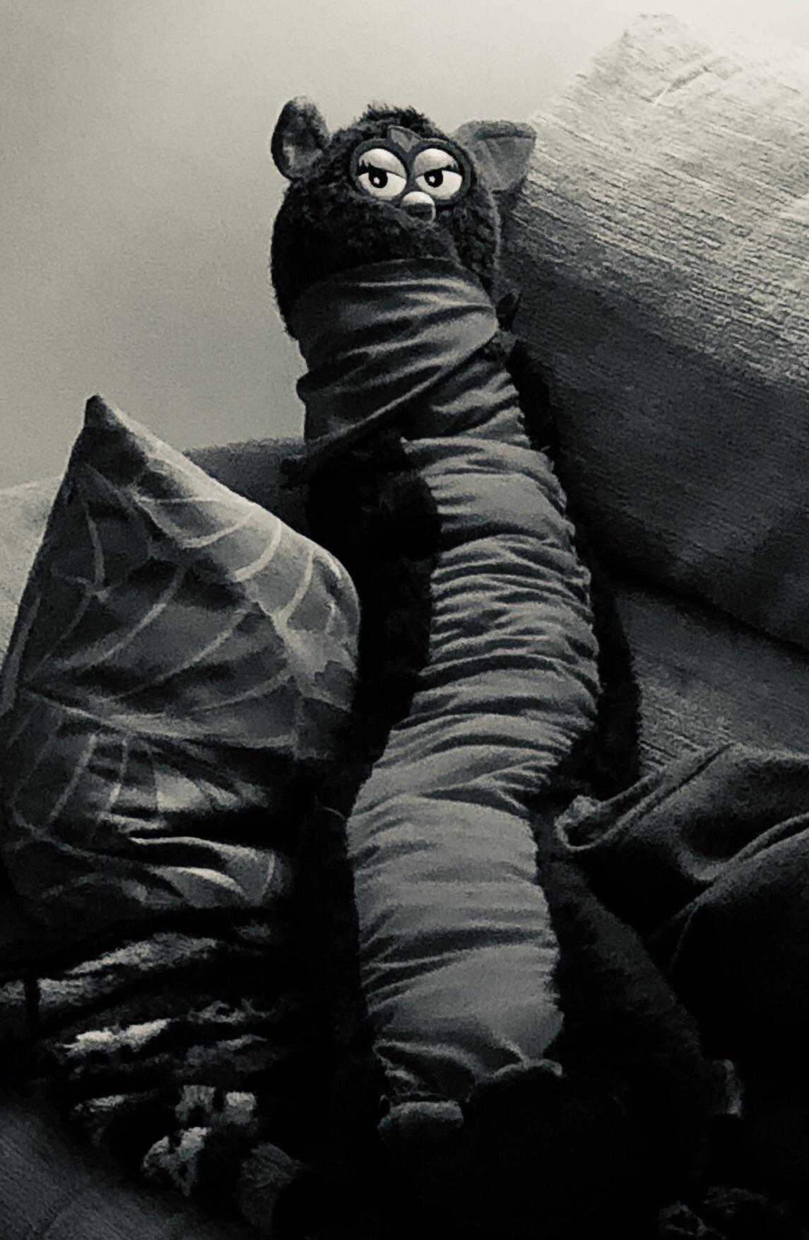 He is born | Scrolller