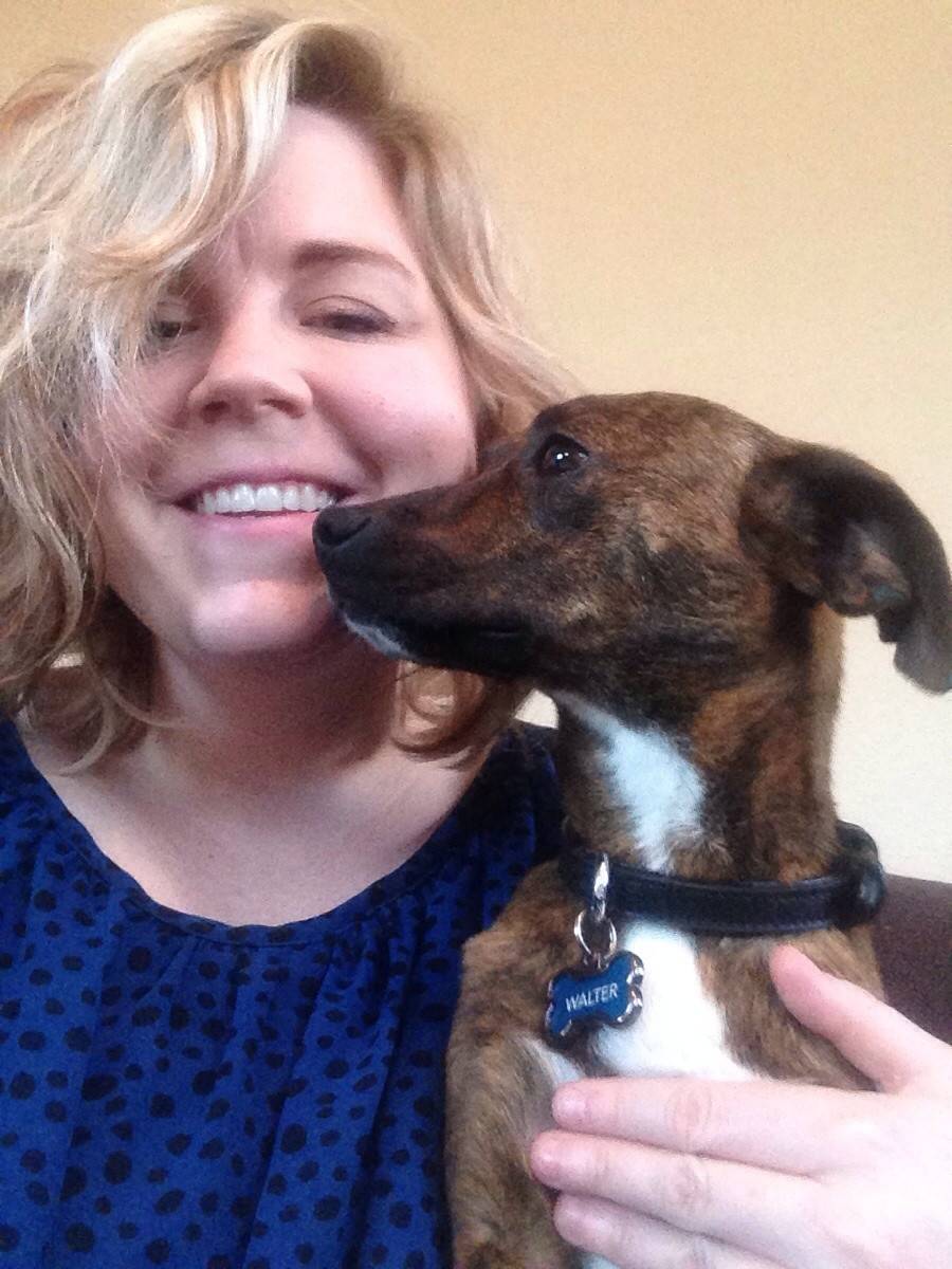 He may just be half italian greyhound, but he is my whole heart. Meet our shelter rescue, Walter ...