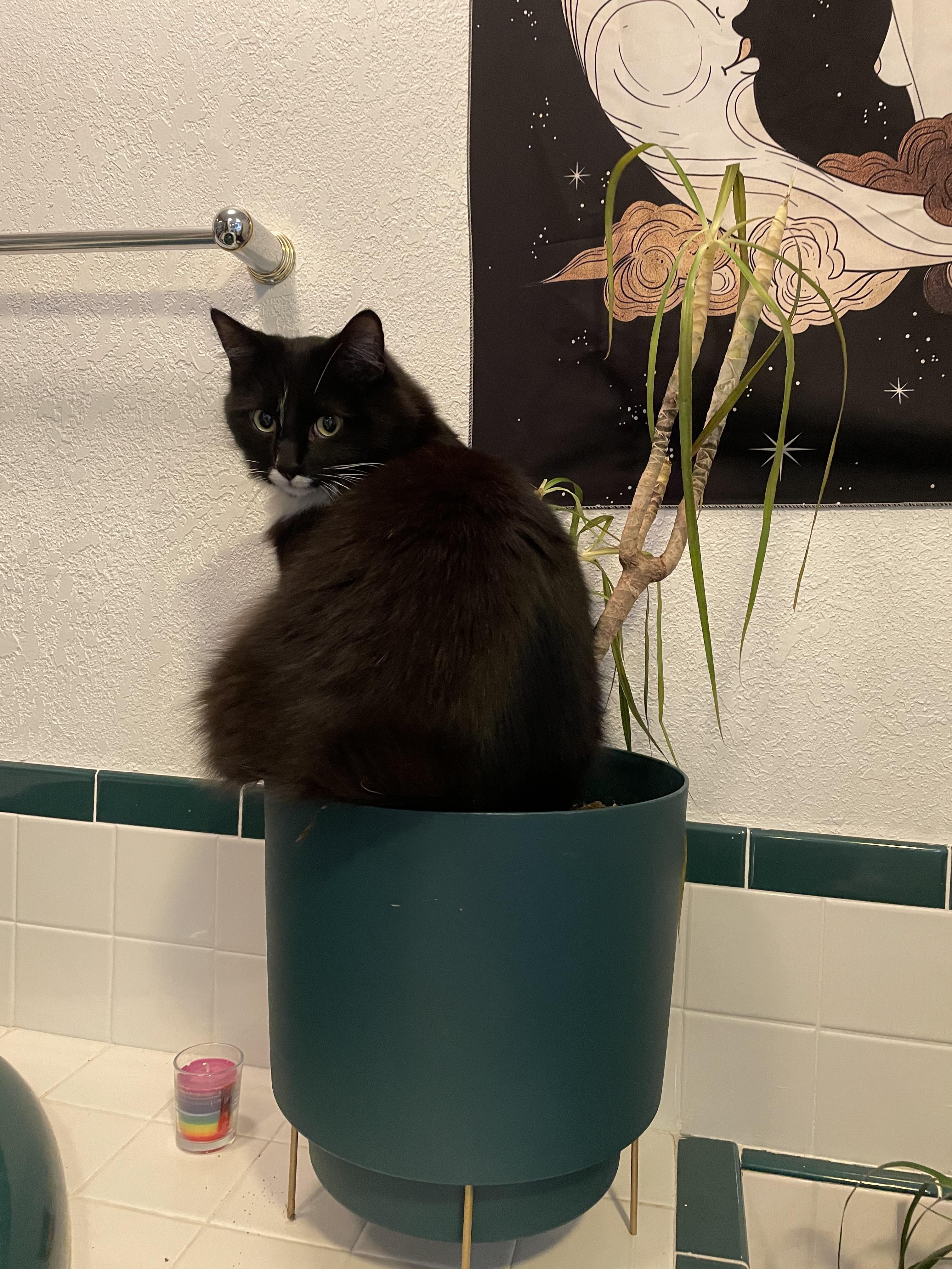 He’s going to need repotting soon... | Scrolller