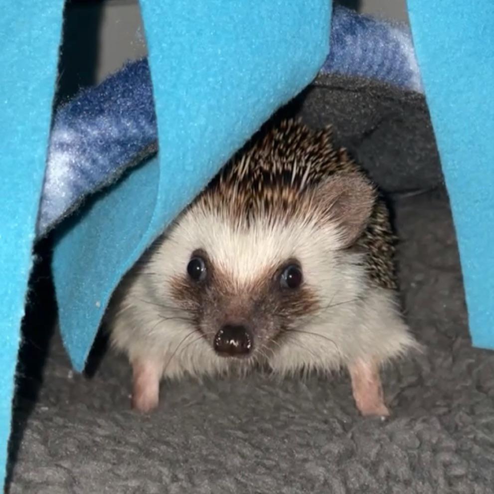 He’s just built different | Scrolller