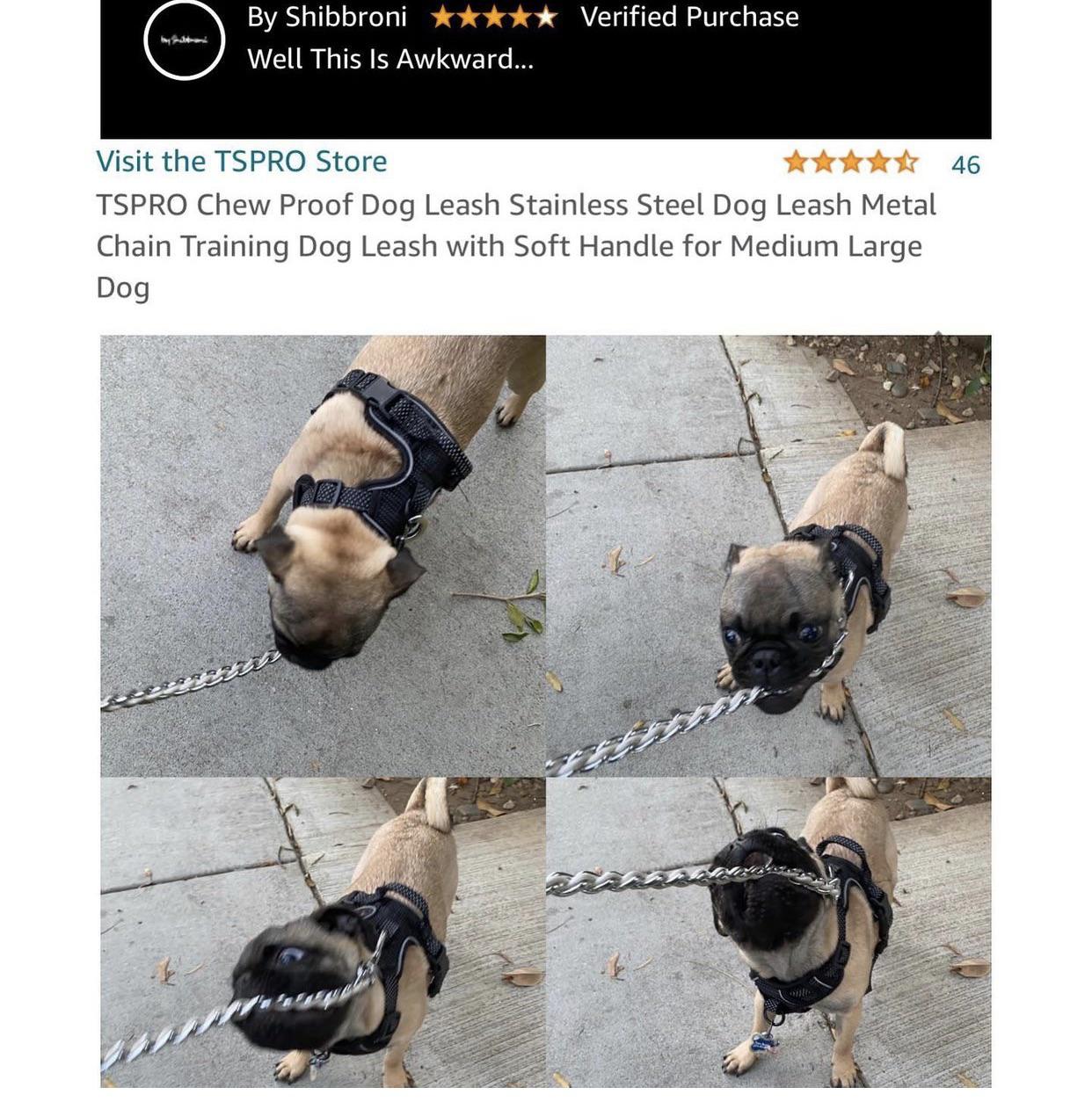 He’s Just Built Different | Scrolller