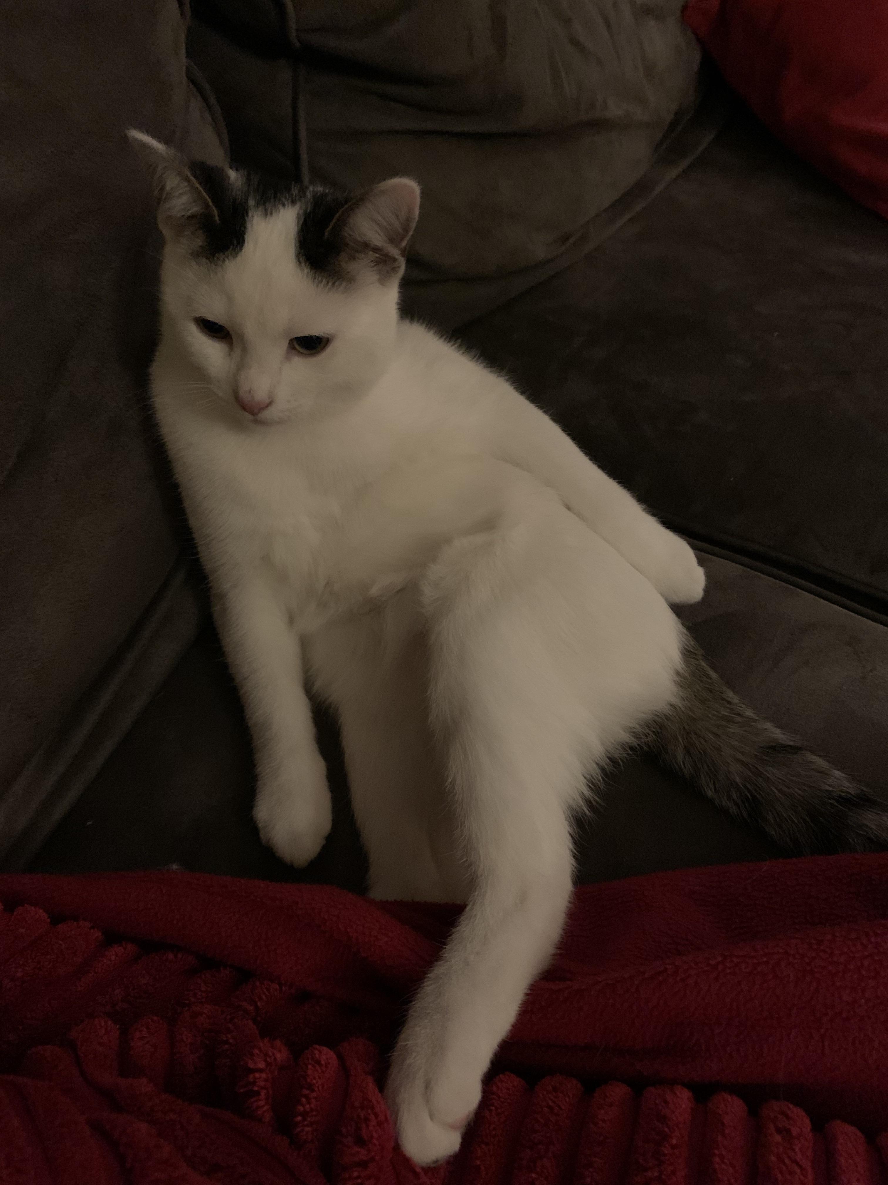 he sitt and show drumstikk | Scrolller