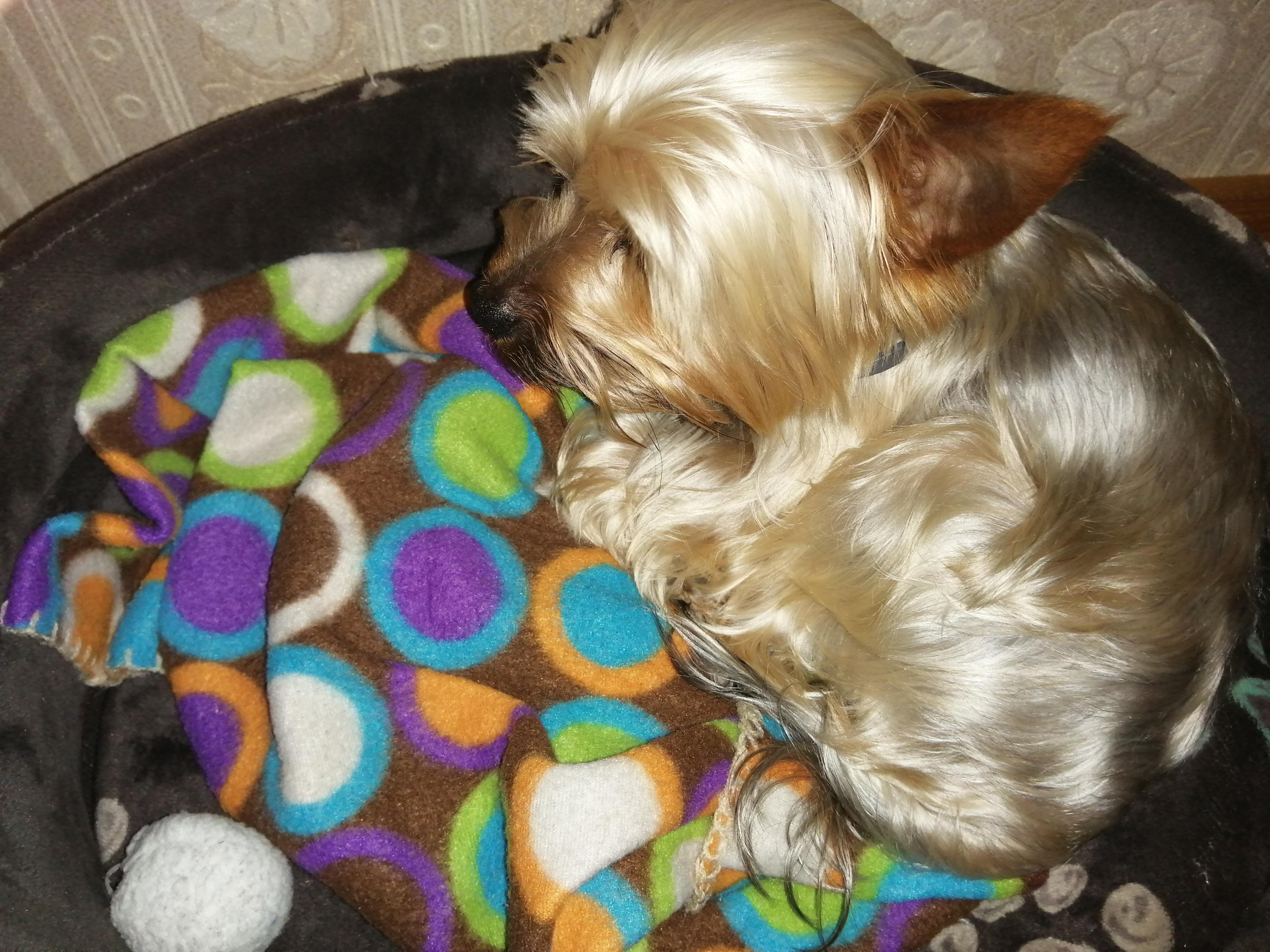 He sleepy | Scrolller