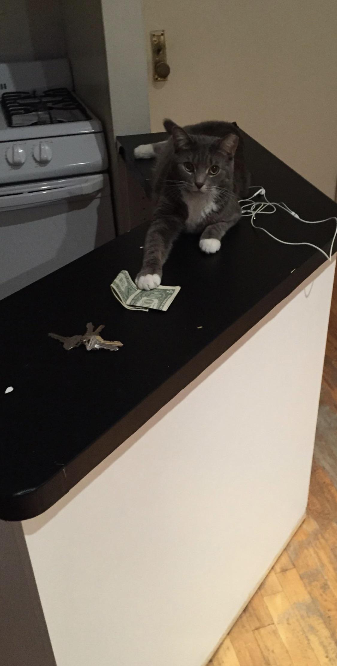 He takes his job very seriously | Scrolller